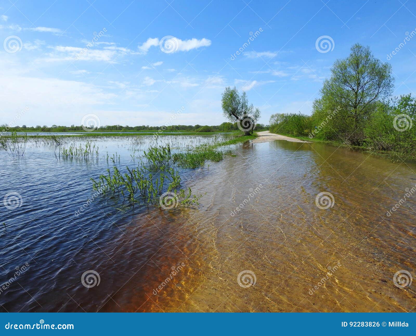 Spring Flood in Fields, Lithuania Stock Photo - Image of water, blue ...