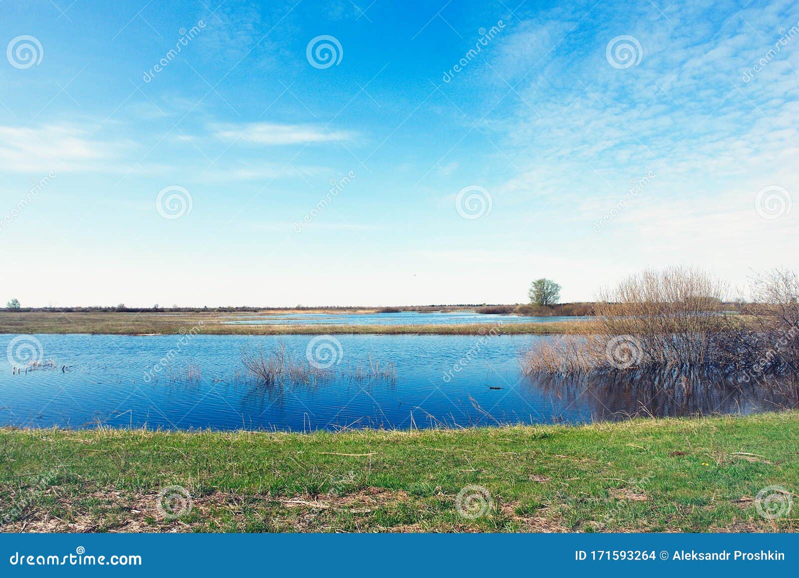 Spring Flood in the Meadows. High Water Stock Photo - Image of ...