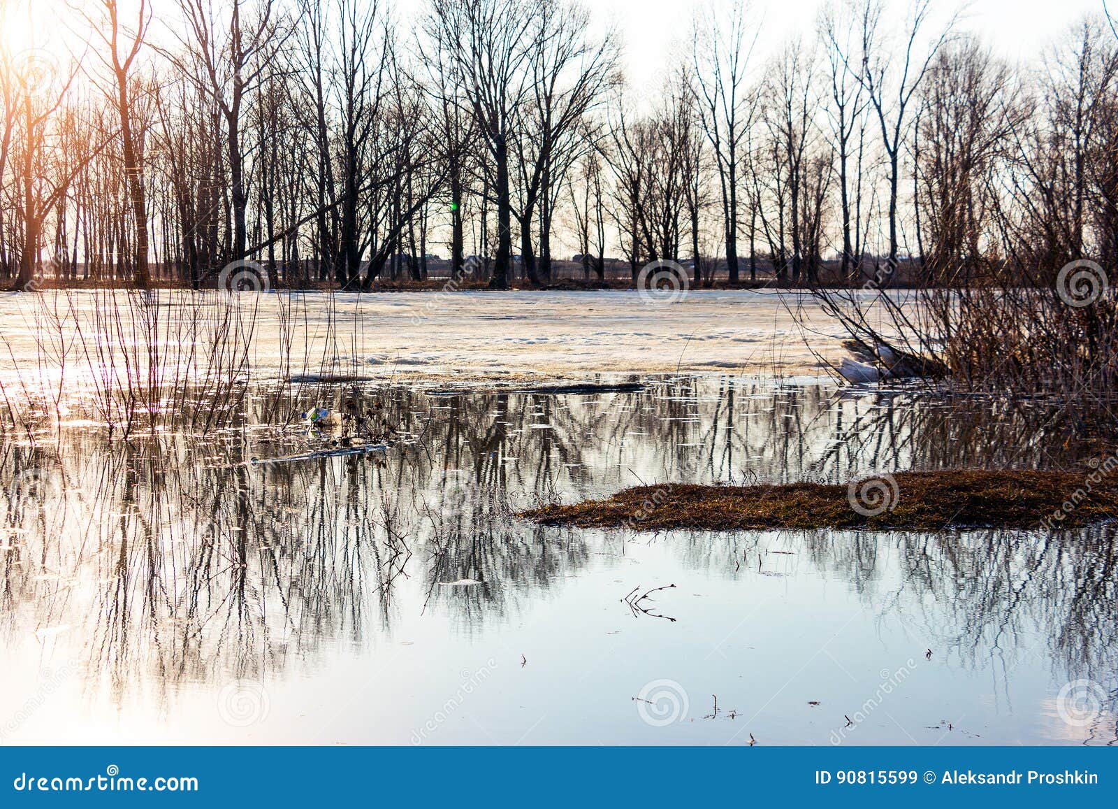 Spring Flood on the river stock image. Image of river - 90815599