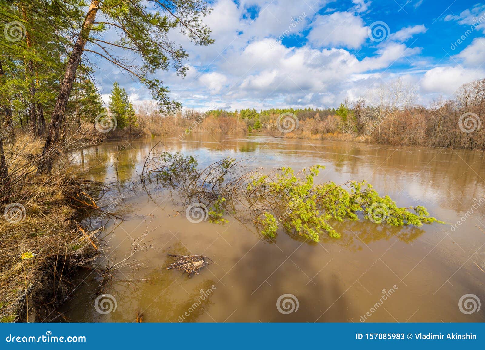 Spring flood on the river. stock image. Image of foam - 157085983