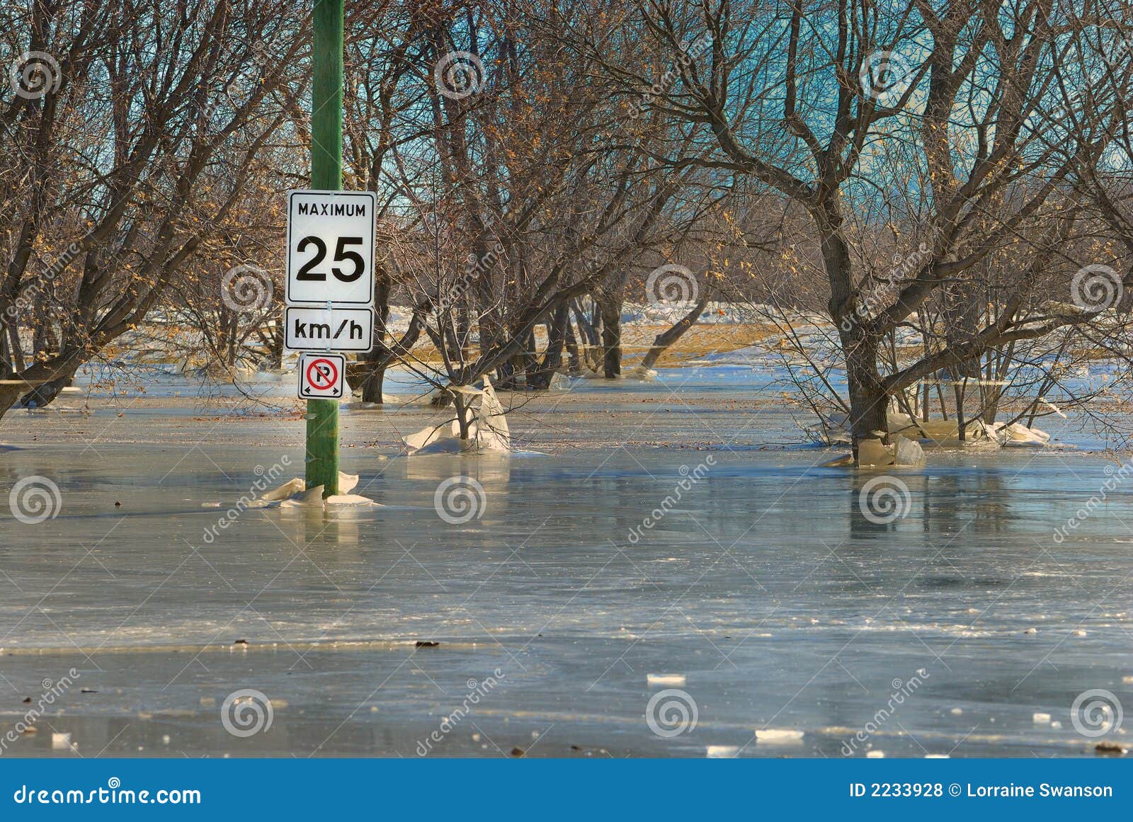 Spring Flooding editorial stock photo. Image of flooding - 2233928