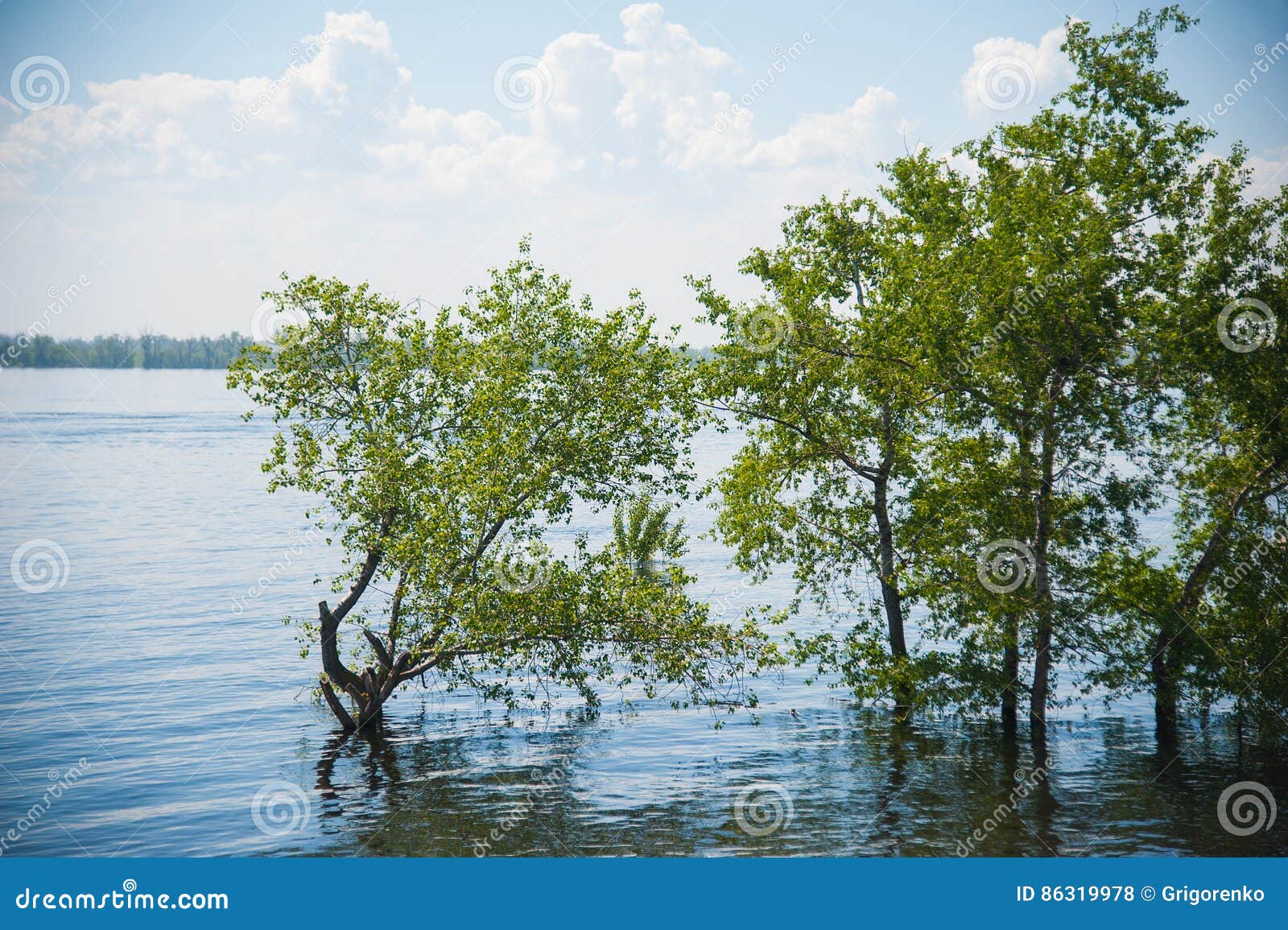 Spring Flooding on the River Stock Photo - Image of water, flood: 86319978