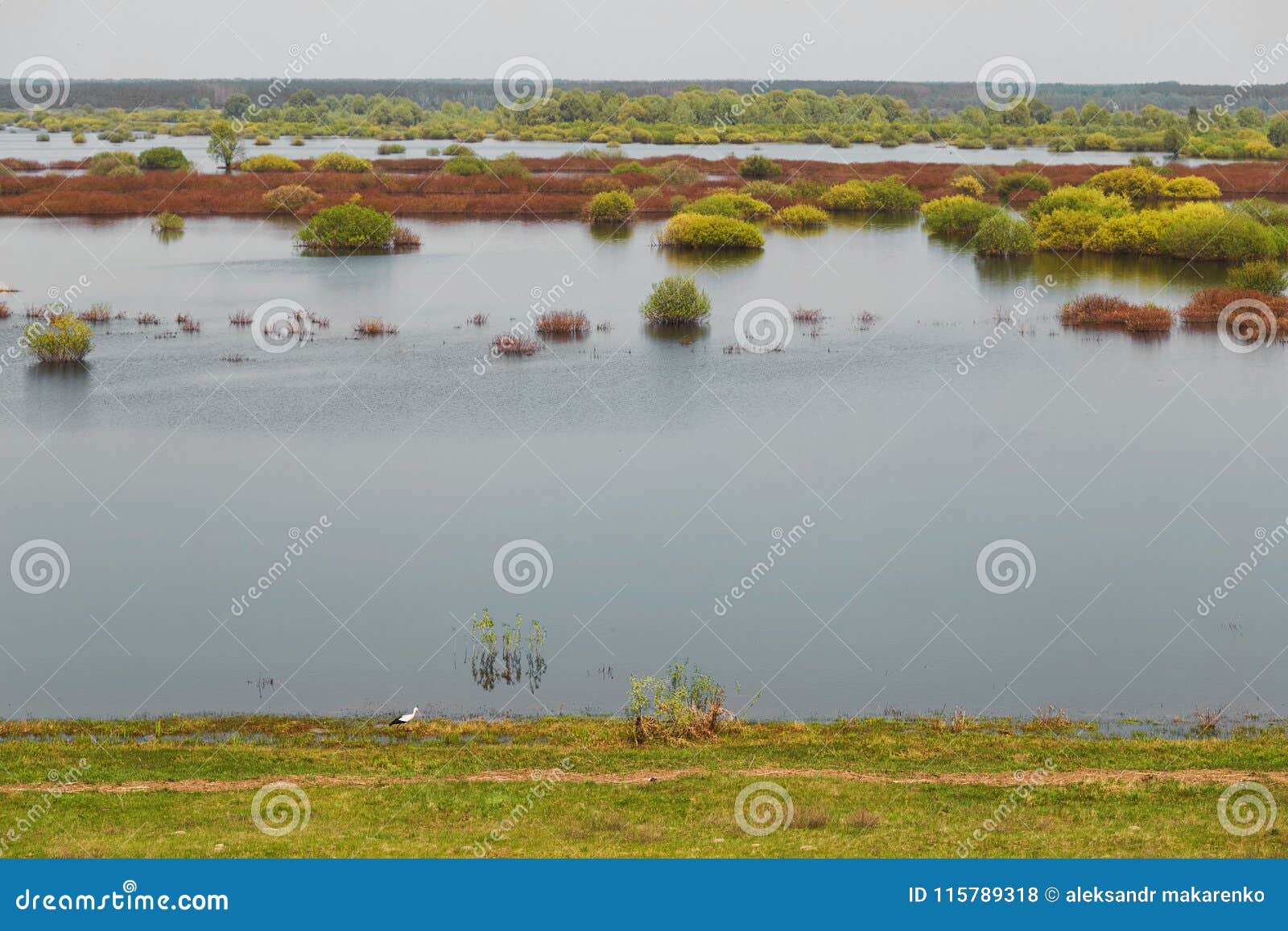 Spring. Floodplain Meadow Flooded with a River. Stock Photo - Image of ...