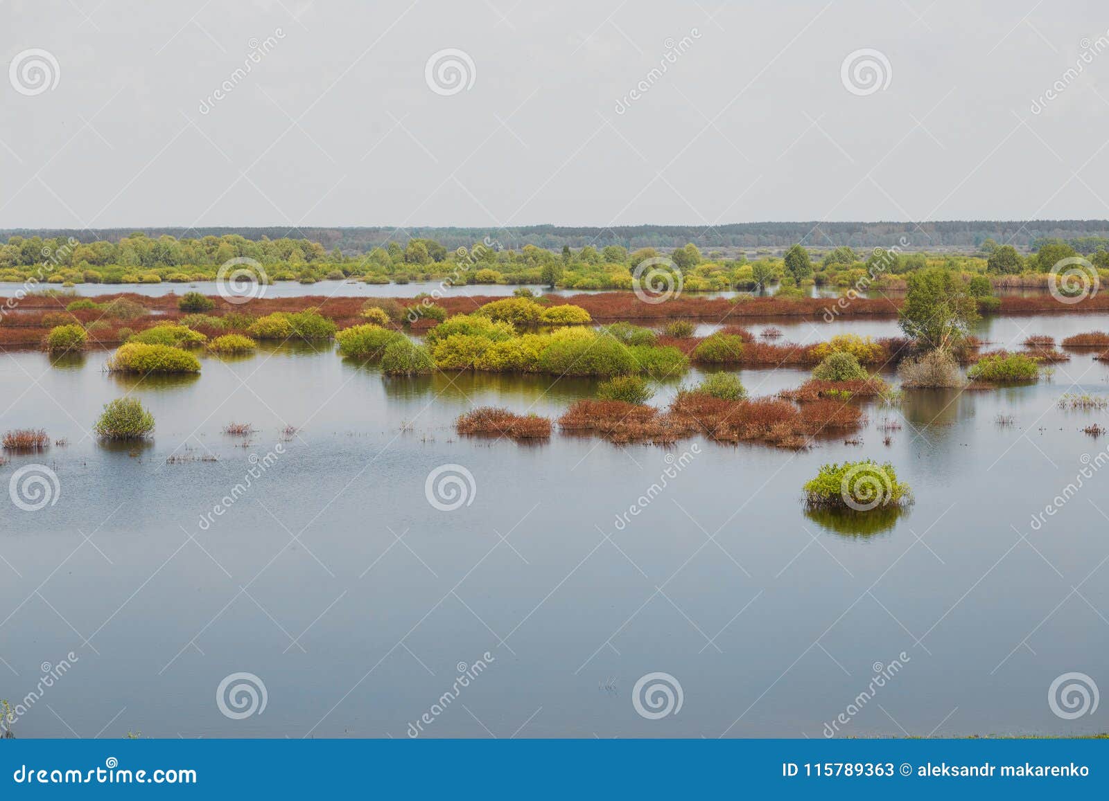 Spring. Floodplain Meadow Flooded with a River. Stock Image - Image of ...