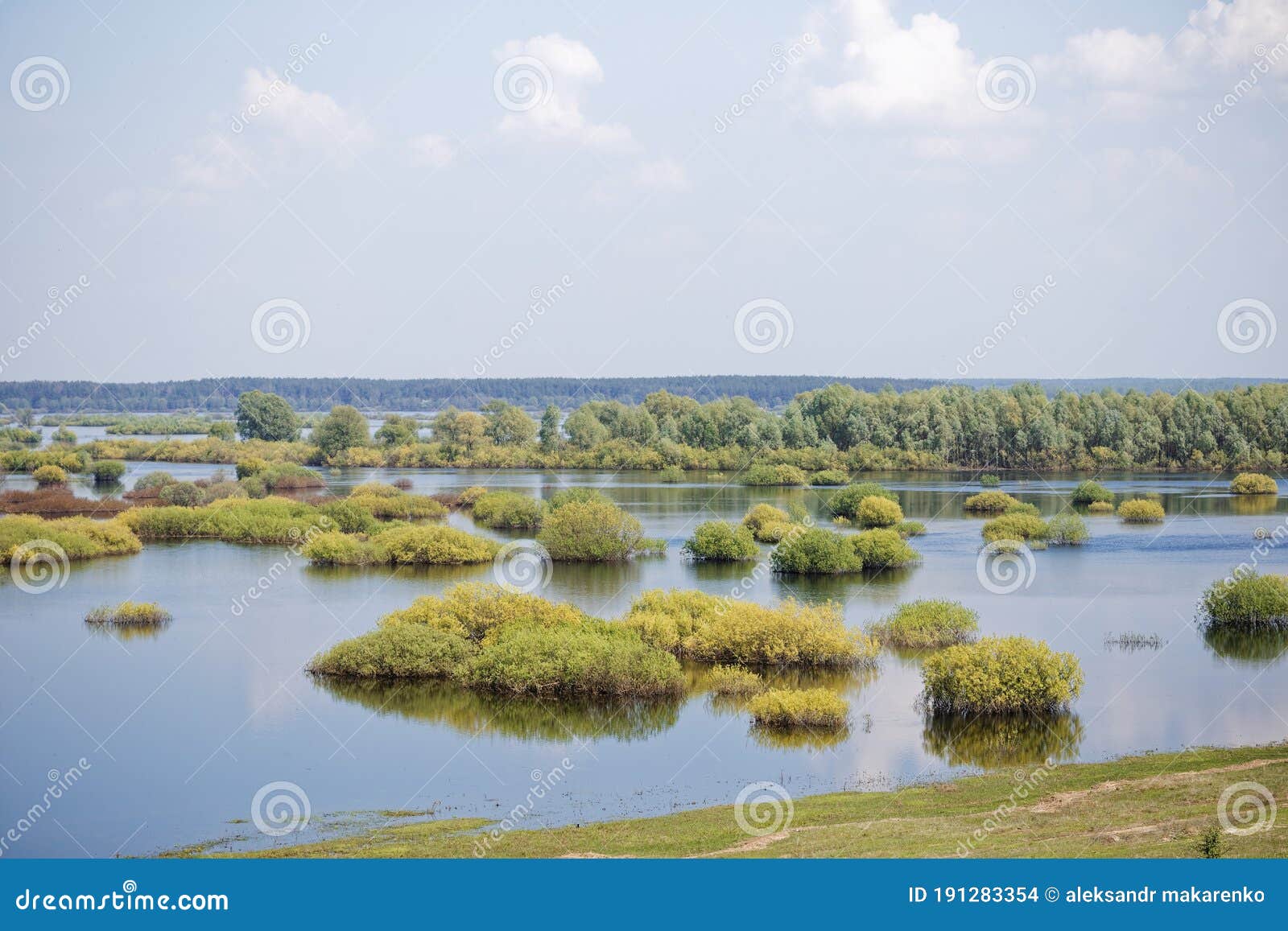 Spring. Floodplain Meadow Flooded with a River Stock Photo - Image of ...