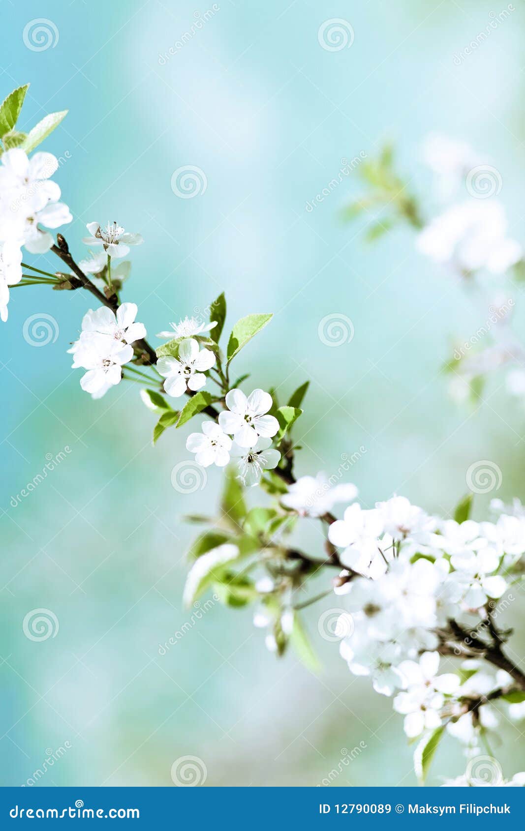 Spring Floral Abstract Background Stock Image - Image of abstract ...