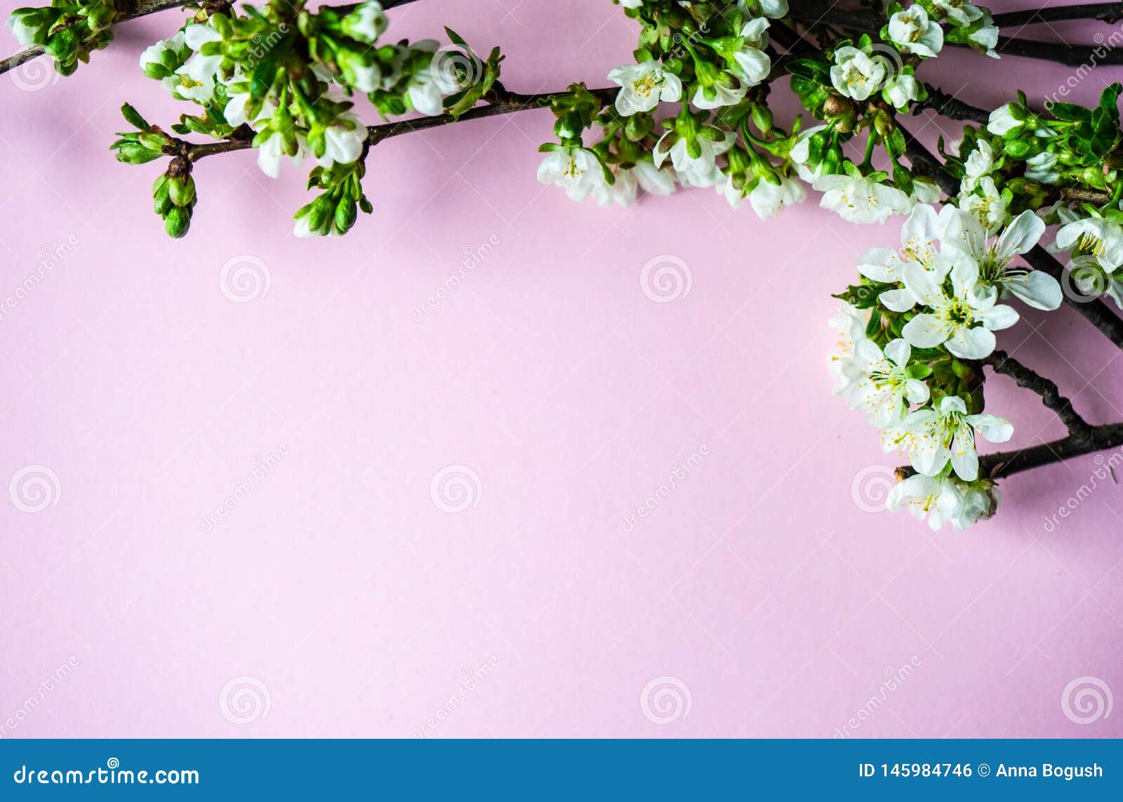 Spring floral frame stock photo. Image of decoration - 145984746