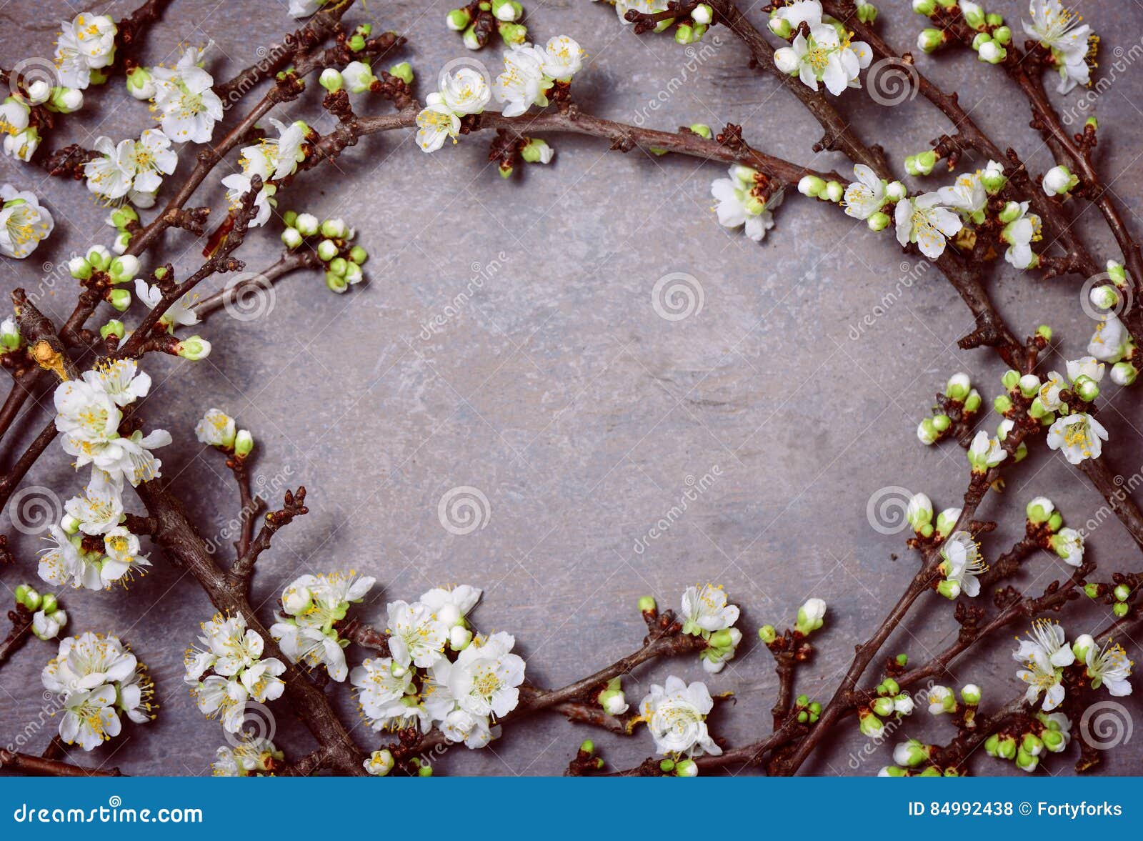 Spring Floral Moody Background Stock Photo - Image of concept, floral ...