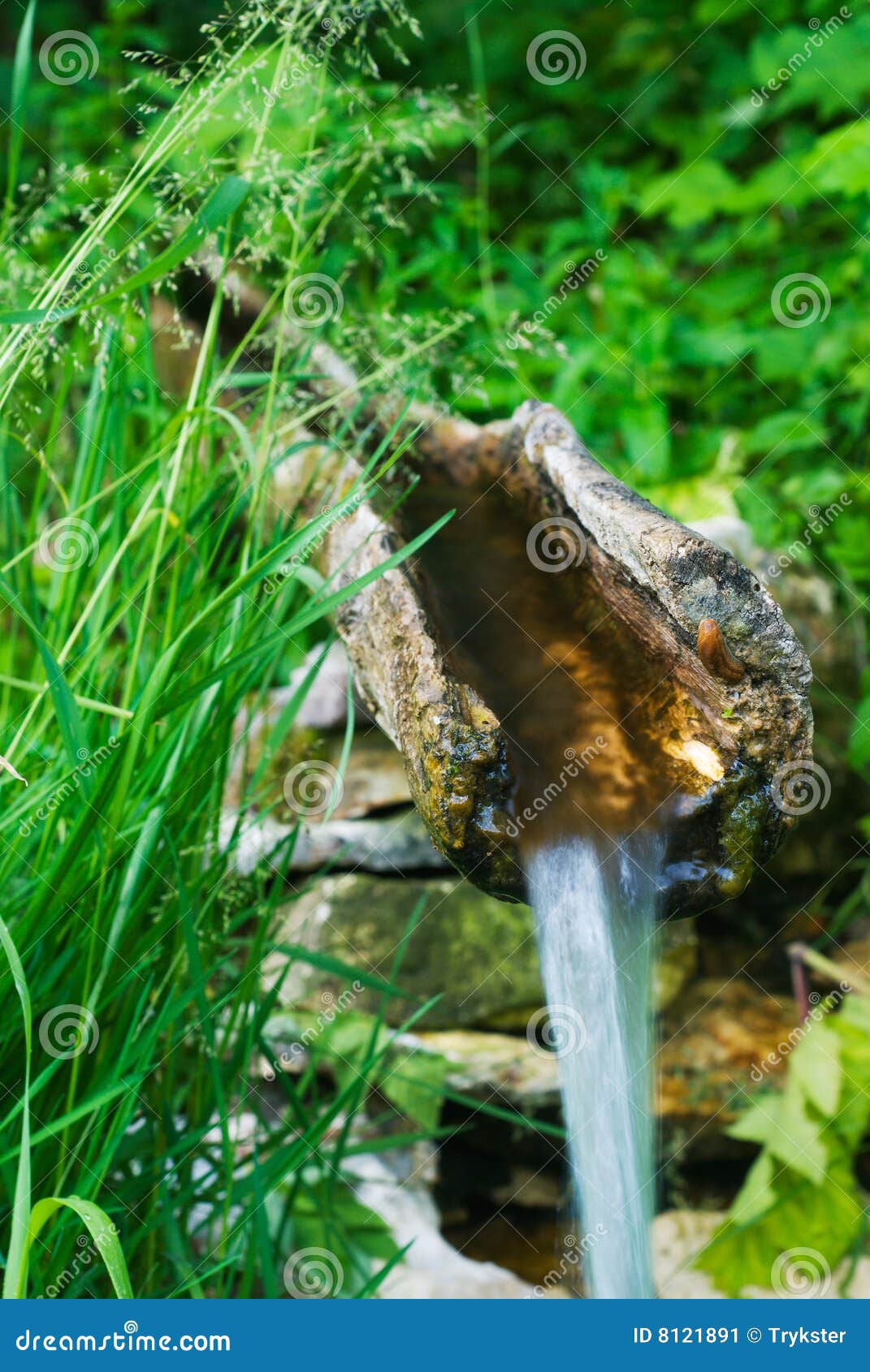 Spring Flow Of Water In The Bed Of A Small River Passes Through The ...