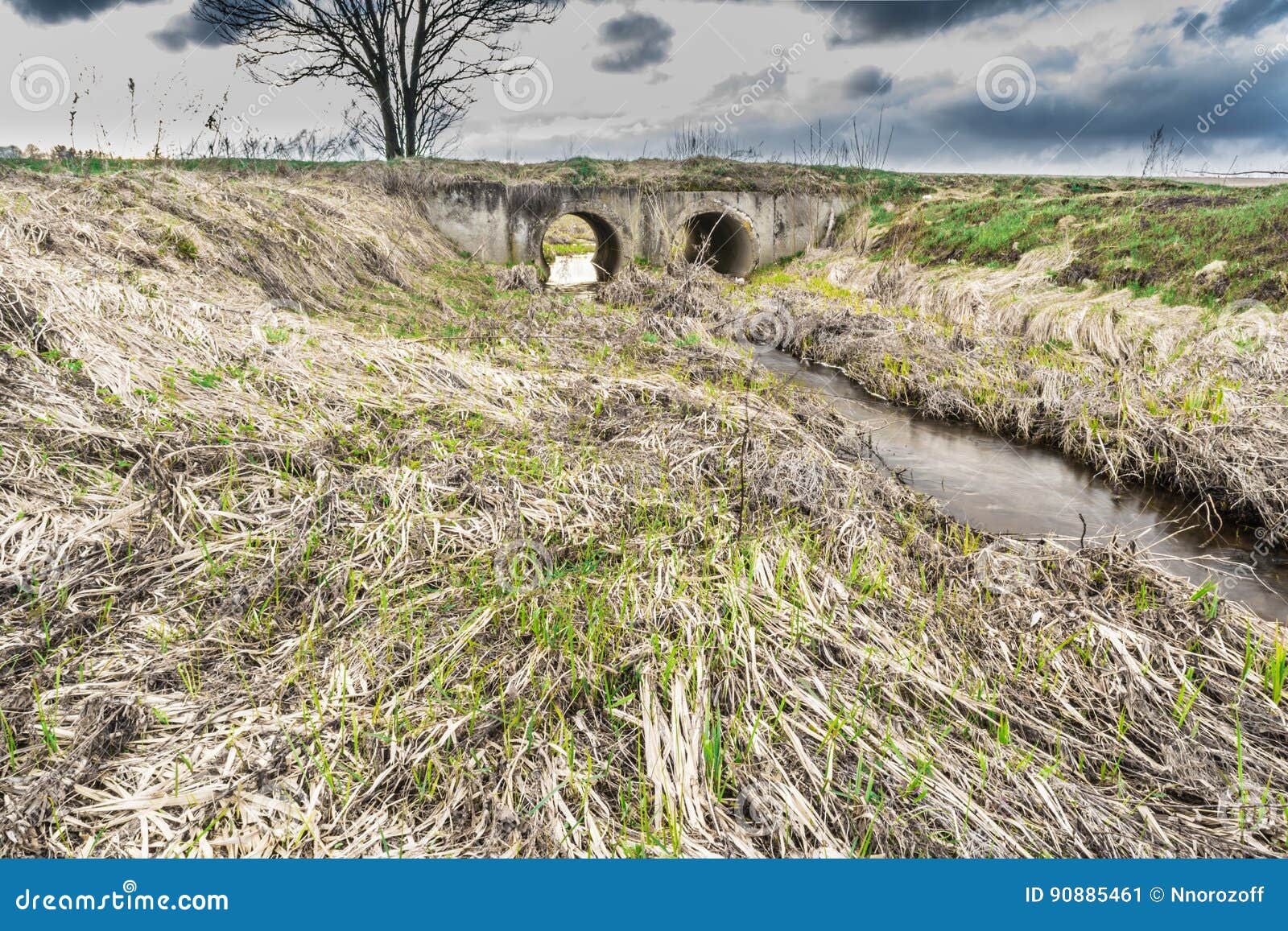 Spring Flow of Water in the Bed of a Small River Passes through the ...