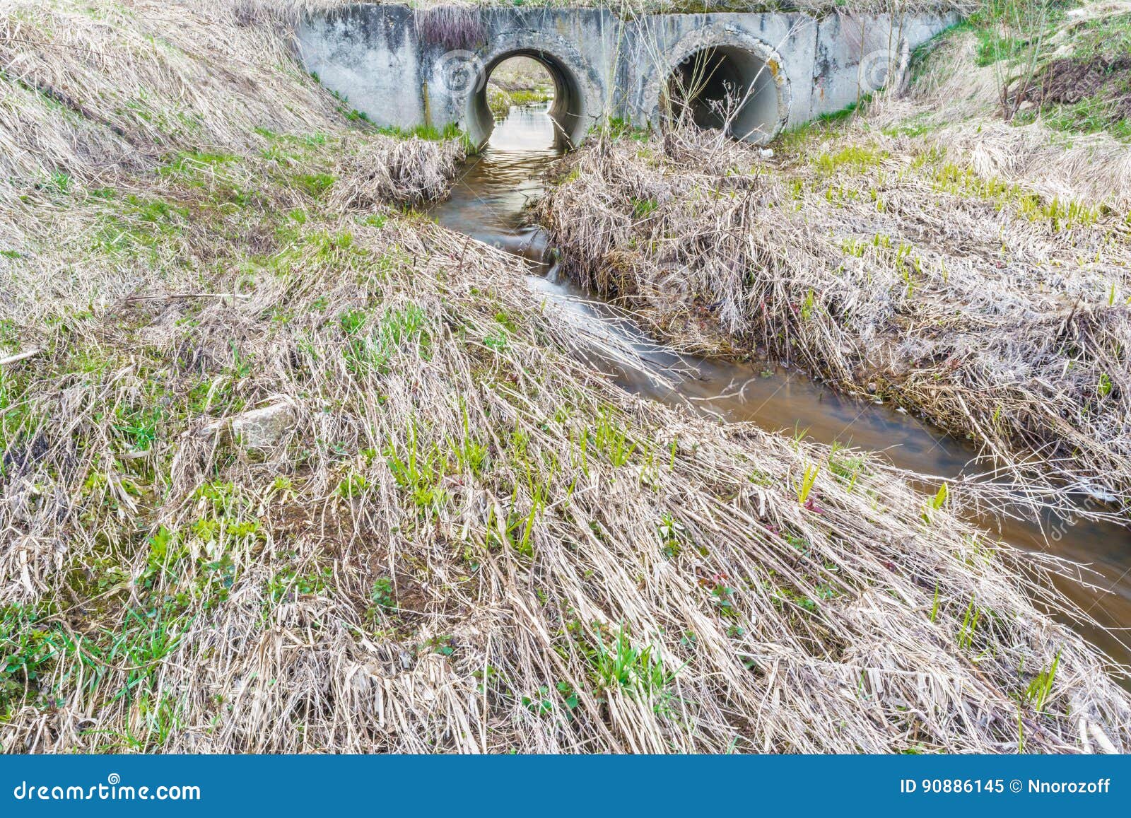 Spring Flow of Water in the Bed of a Small River Passes through the ...