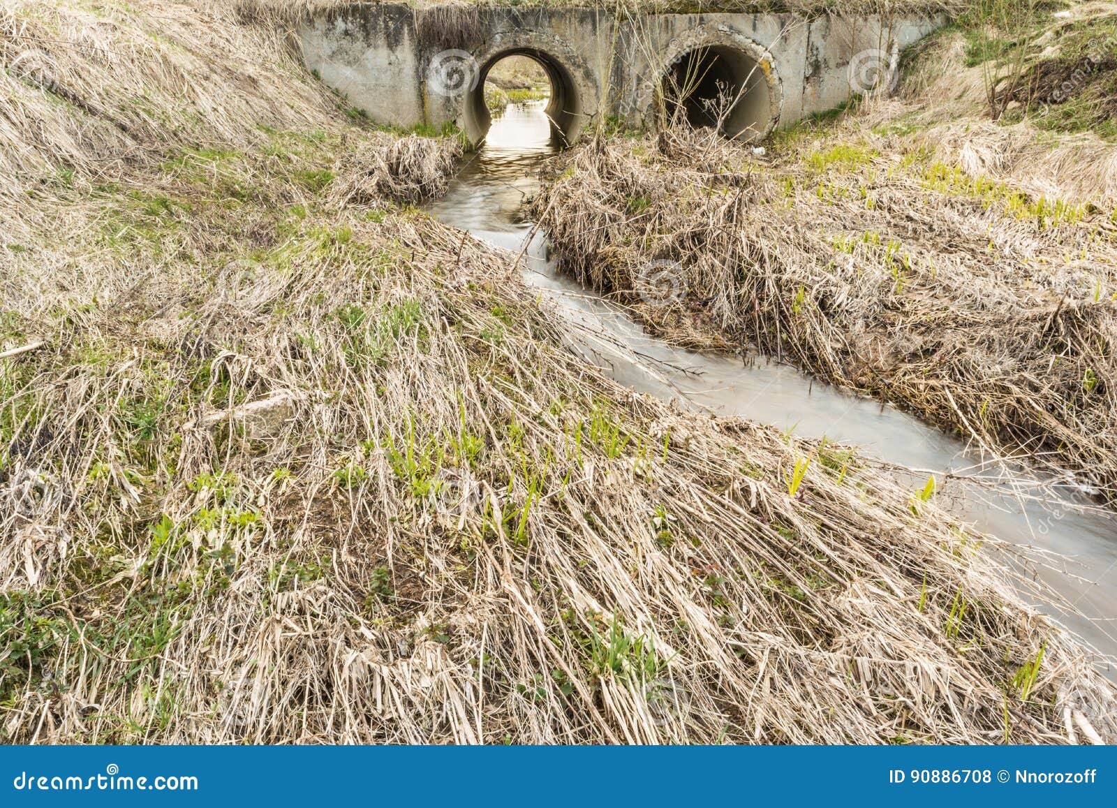 Spring Flow of Water in the Bed of a Small River Passes through the ...