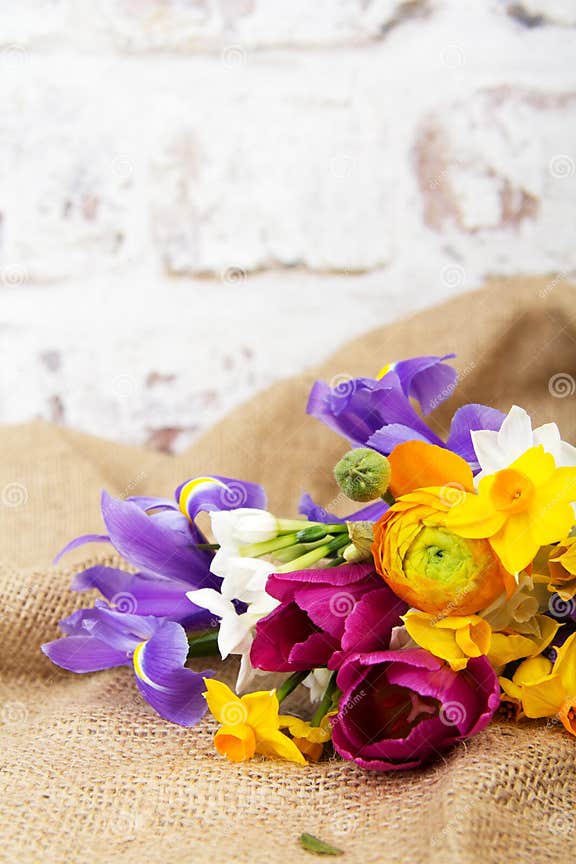 Spring Flower Arrangement Against a Rustic Background Stock Image ...