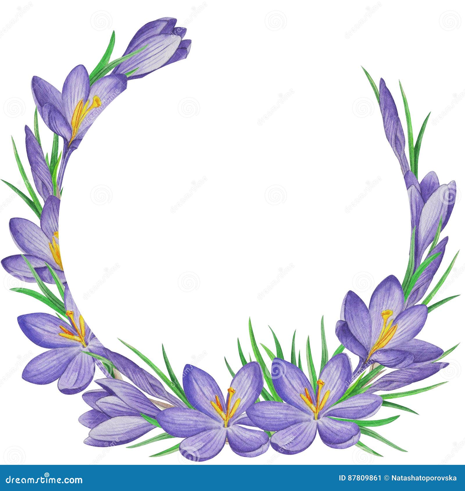 Spring Flower Banner of Crocuses. Watercolor Background Stock ...