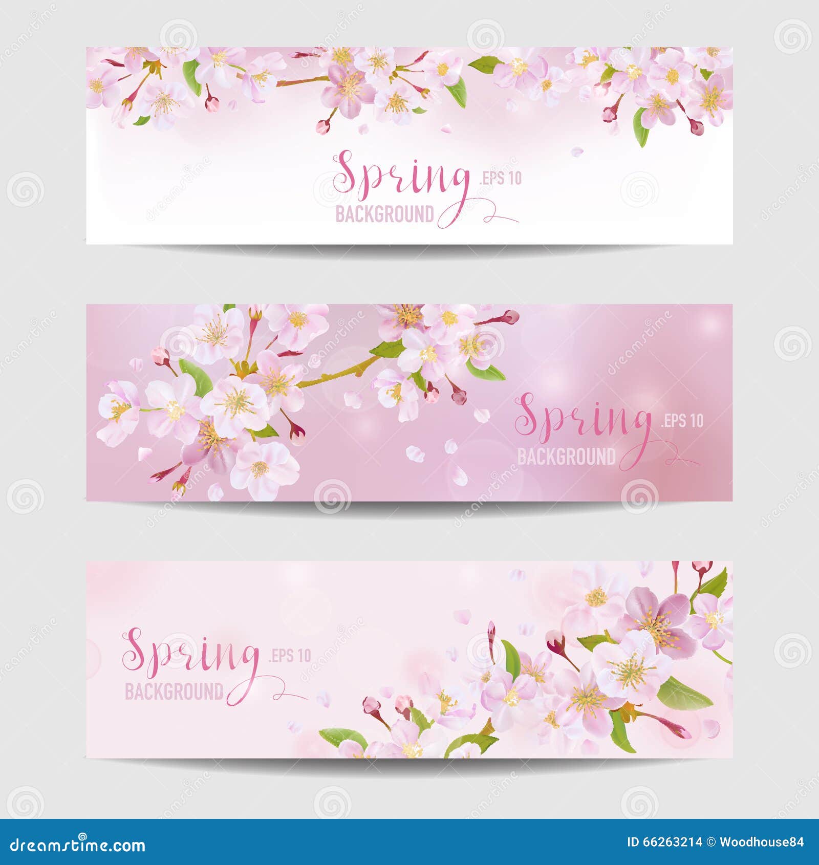 Spring Flower Banner Set stock vector. Illustration of season - 66263214