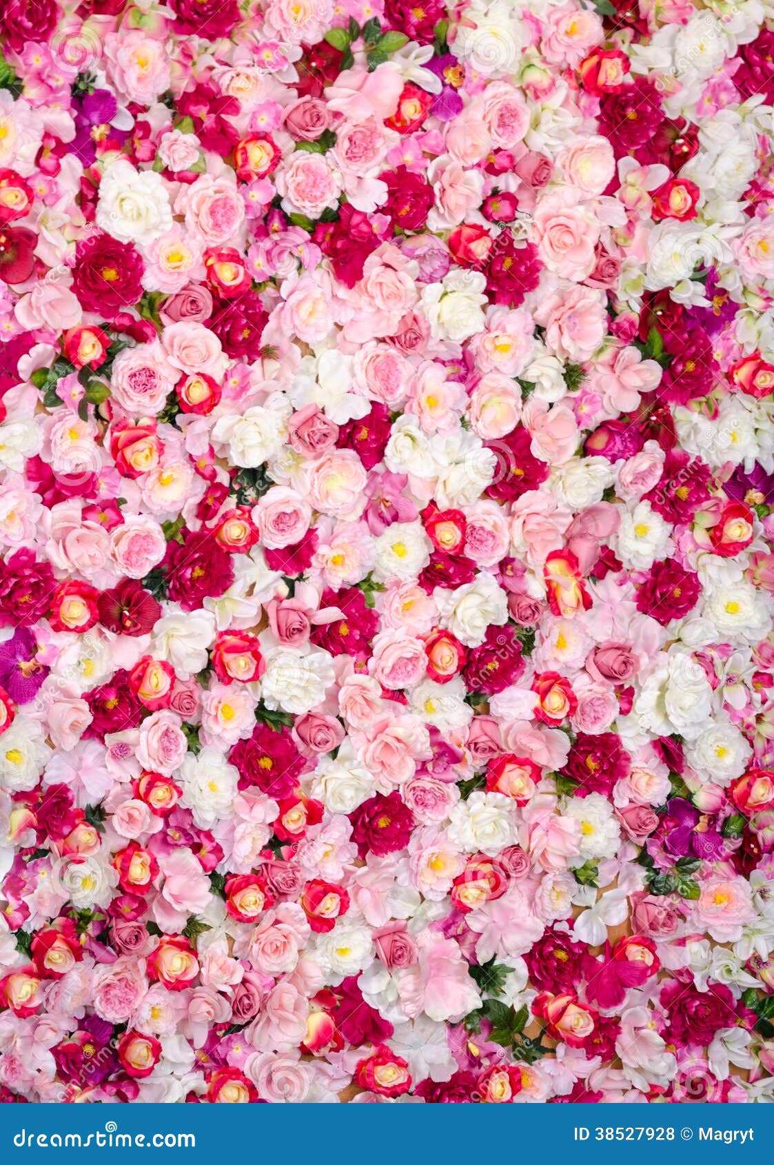 Spring flower bed stock photo. Image of blooming, backgrounds - 38527928