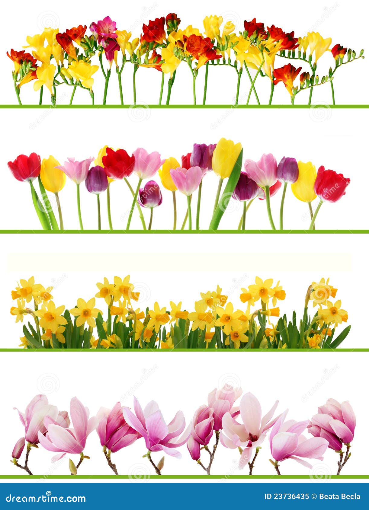 Spring flower borders stock image. Image of edge, beautiful - 23736435