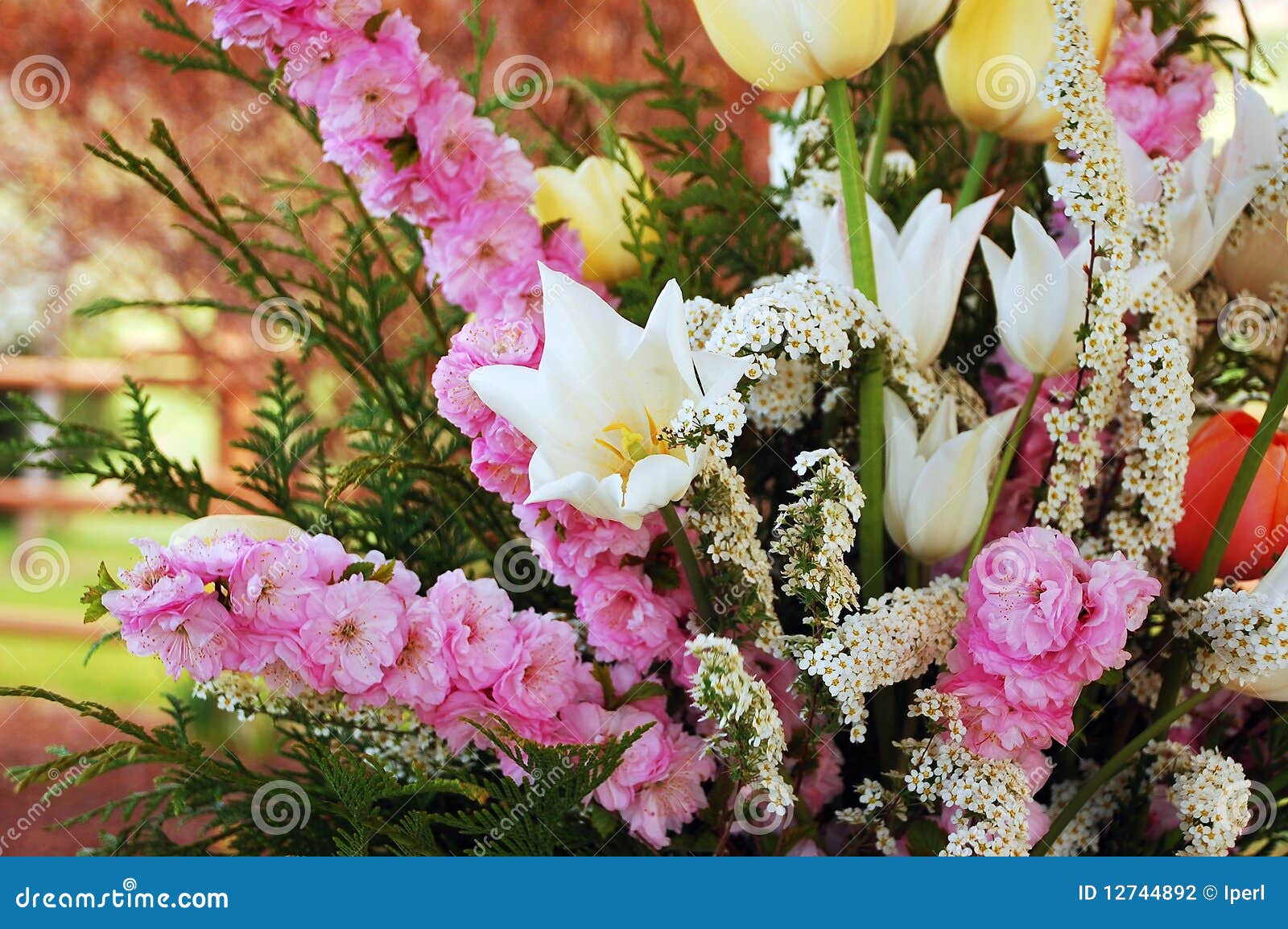 Spring flower bouquet stock photo. Image of floral, tulip - 12744892