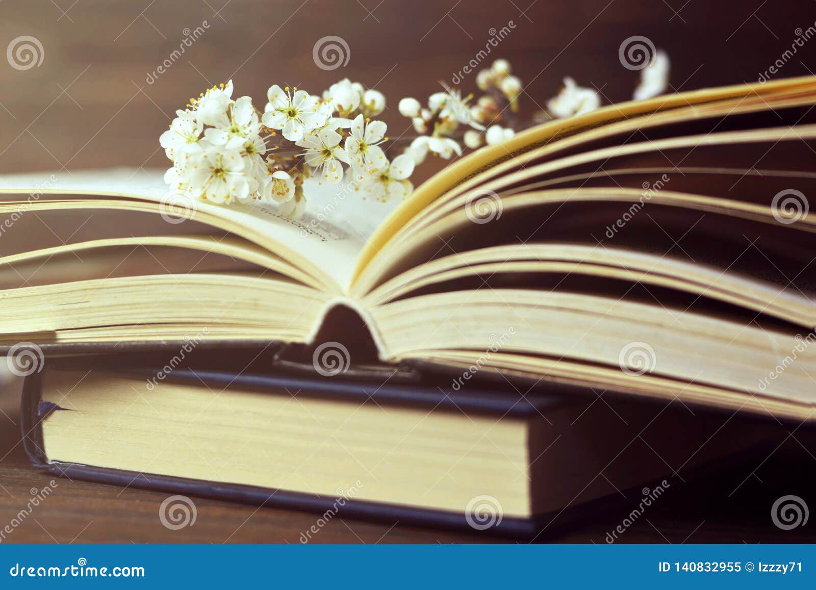 Spring Flowers on Open Book Stock Image - Image of open, spring: 140832955