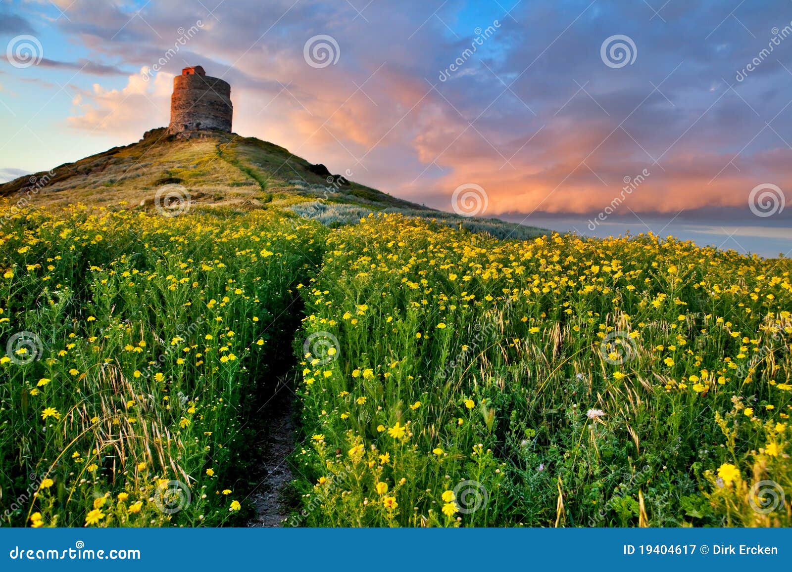 Spring Flower Field with Trail To Castle Tower Stock Image - Image of ...