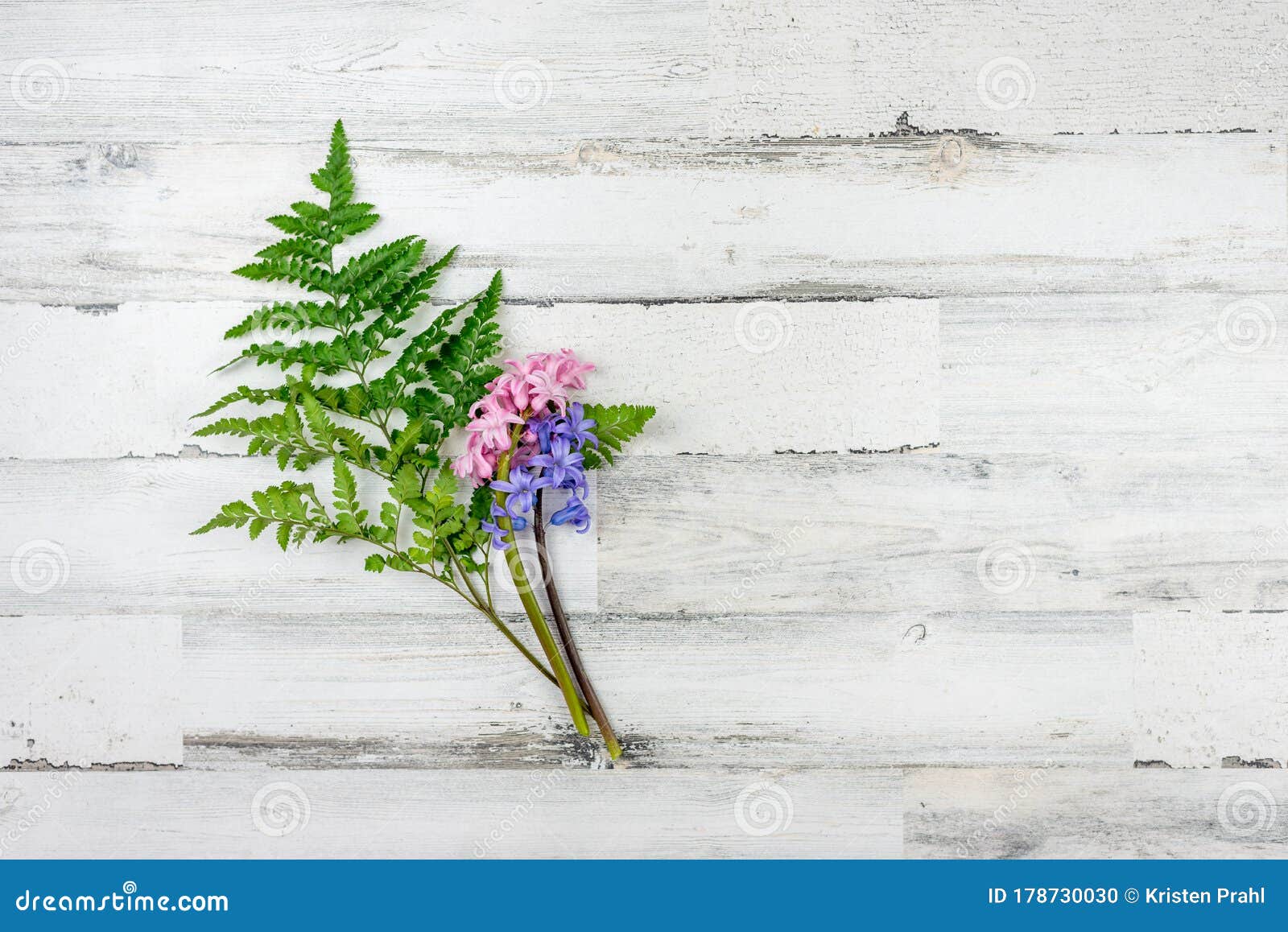 Spring flower flat lay stock photo. Image of delicate - 178730030