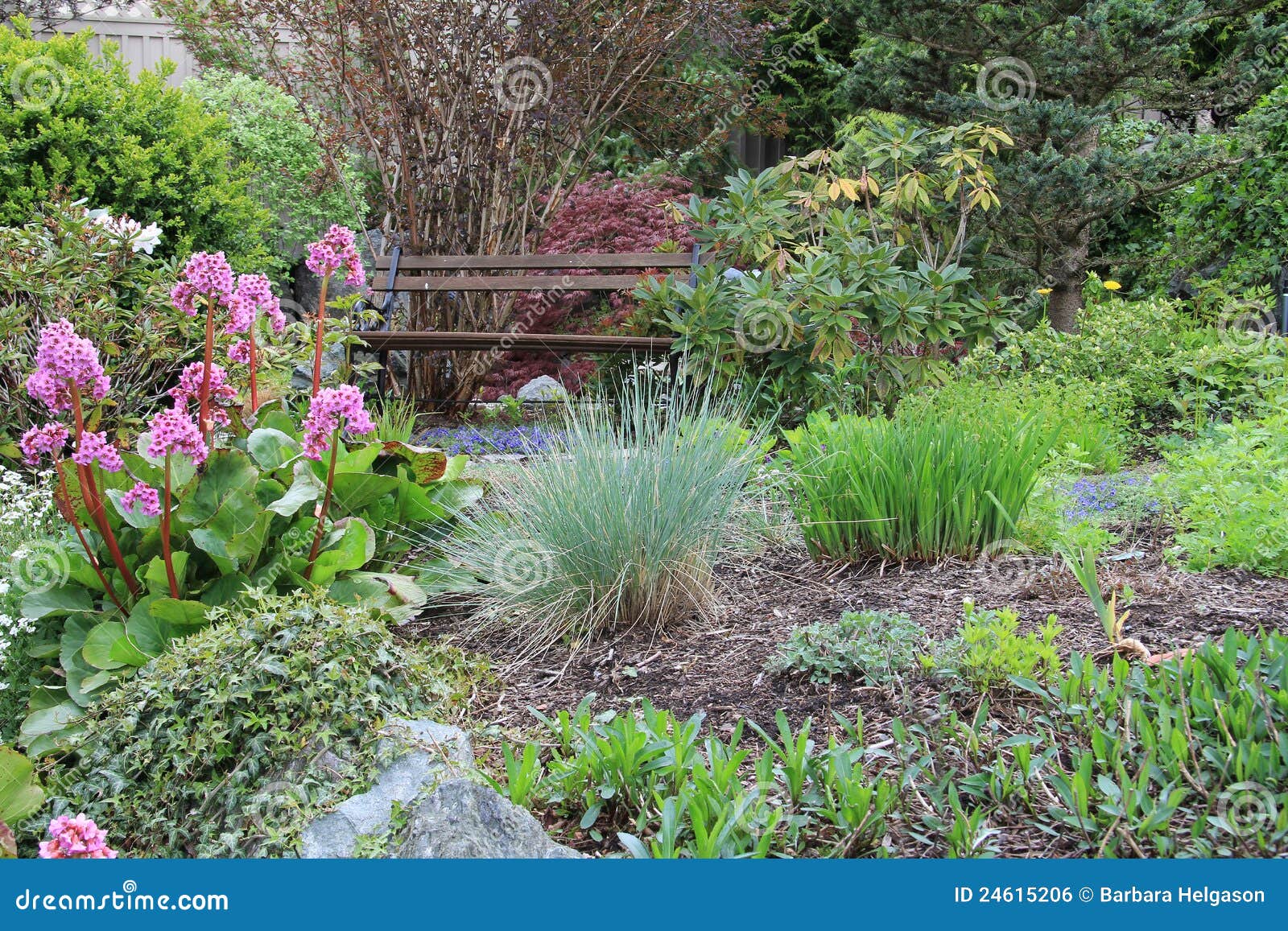 Spring flower garden stock photo. Image of lady, garden - 24615206
