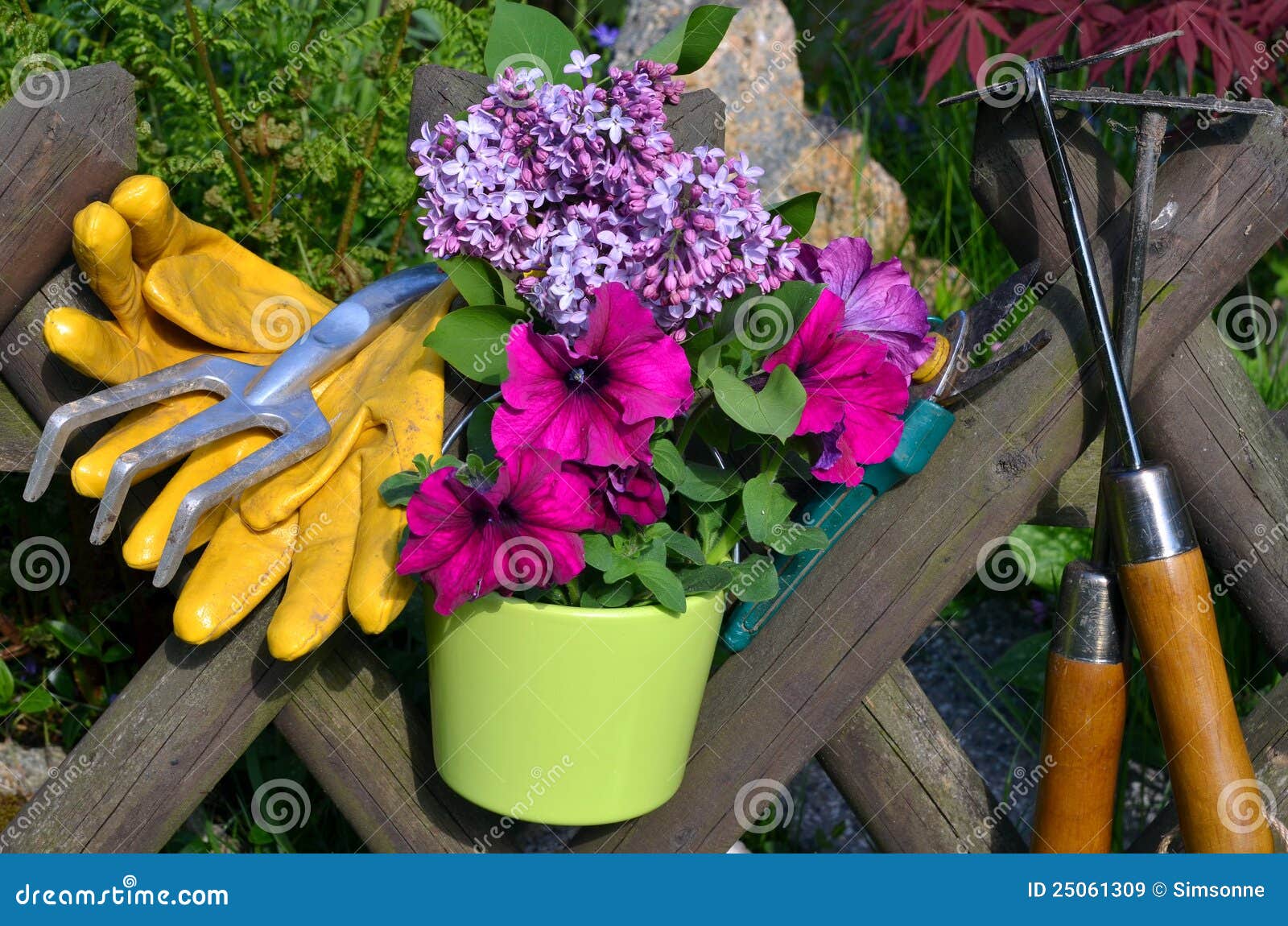 Spring flower garden fence stock image. Image of spring - 25061309
