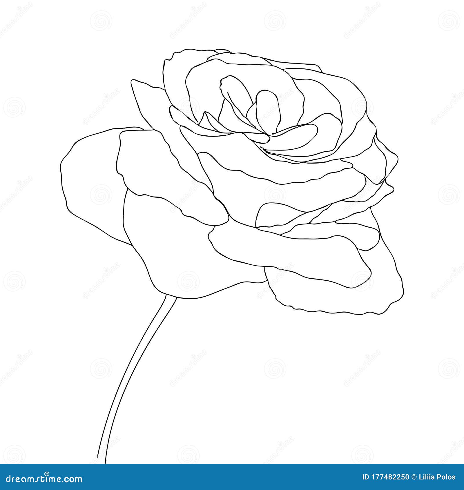 Spring Flower. Hand Drawn Doodle Element Stock Vector - Illustration of ...