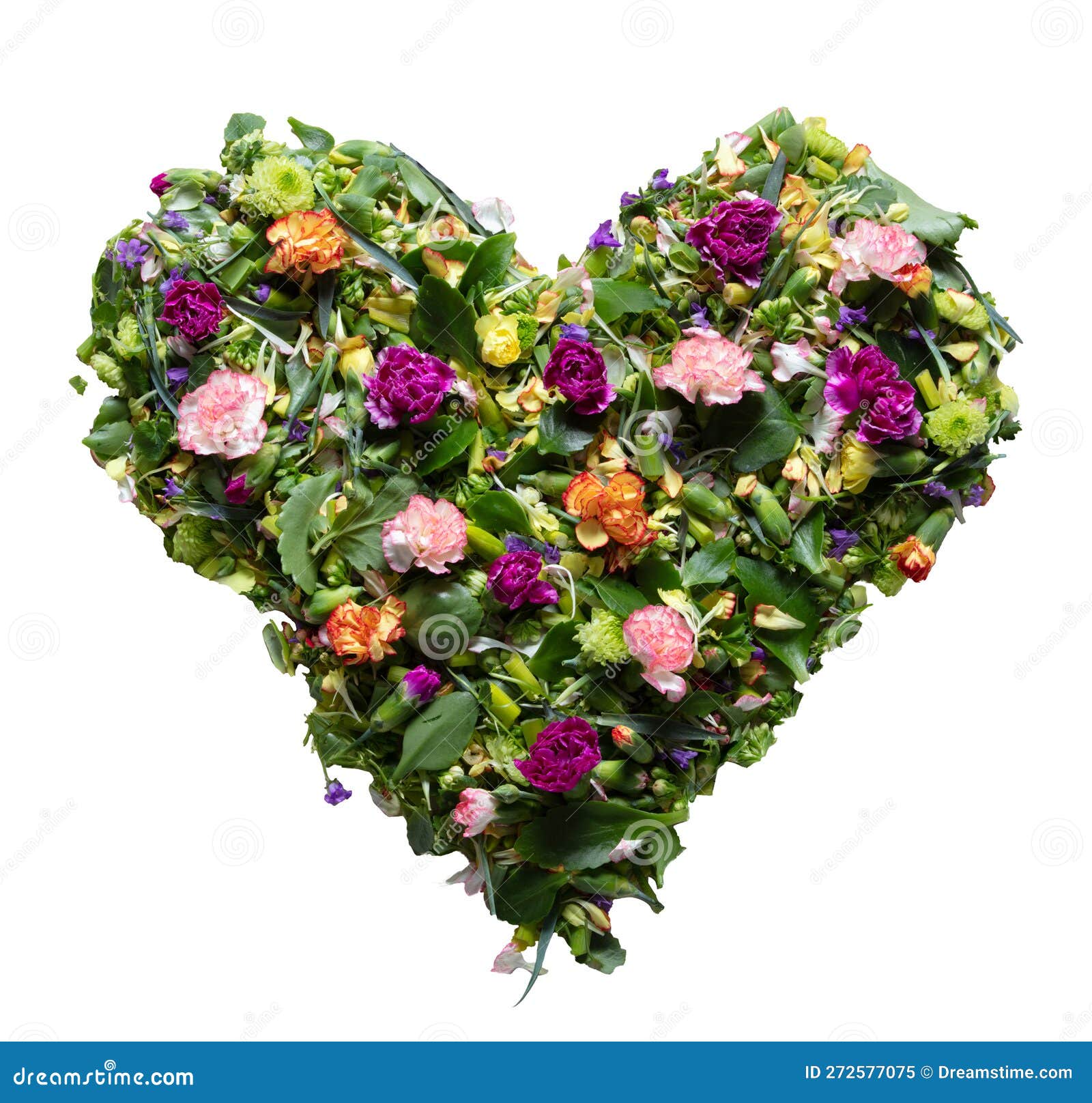 Spring Flower Heart Isolated on White Background Stock Image - Image of ...