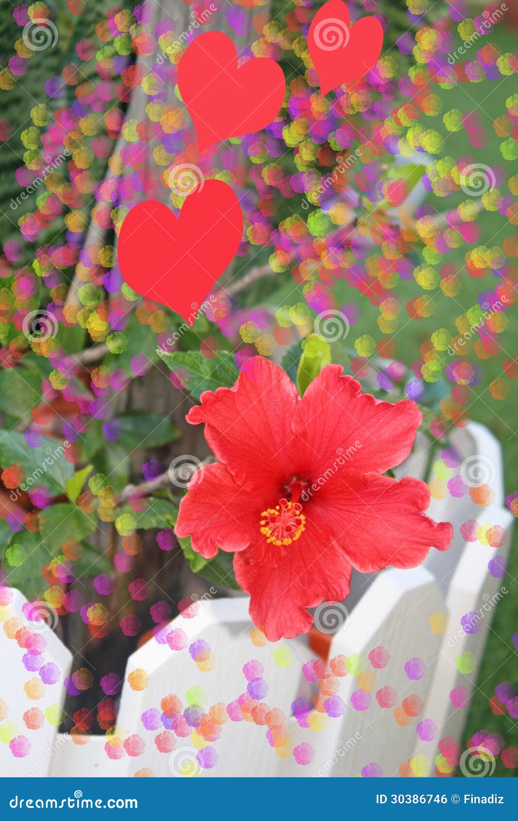 Spring flower and hearts. stock photo. Image of flora - 30386746