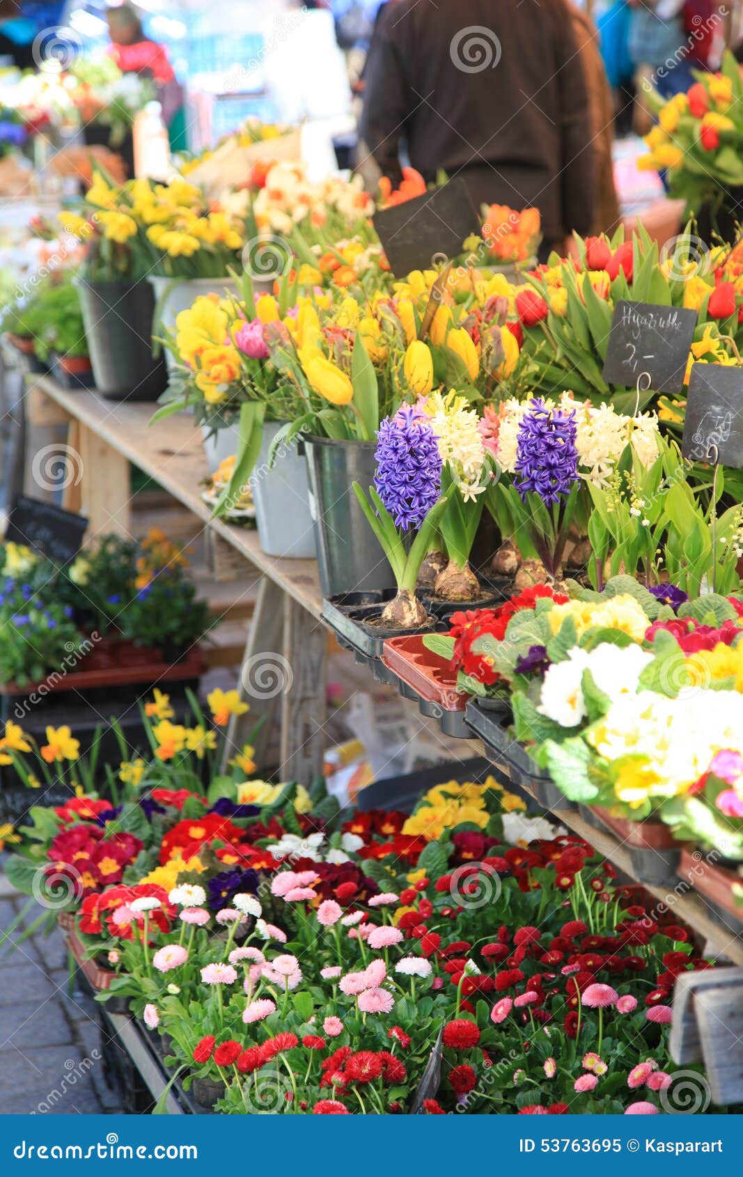 93,004 Spring Market Stock Photos - Free & Royalty-Free Stock Photos ...