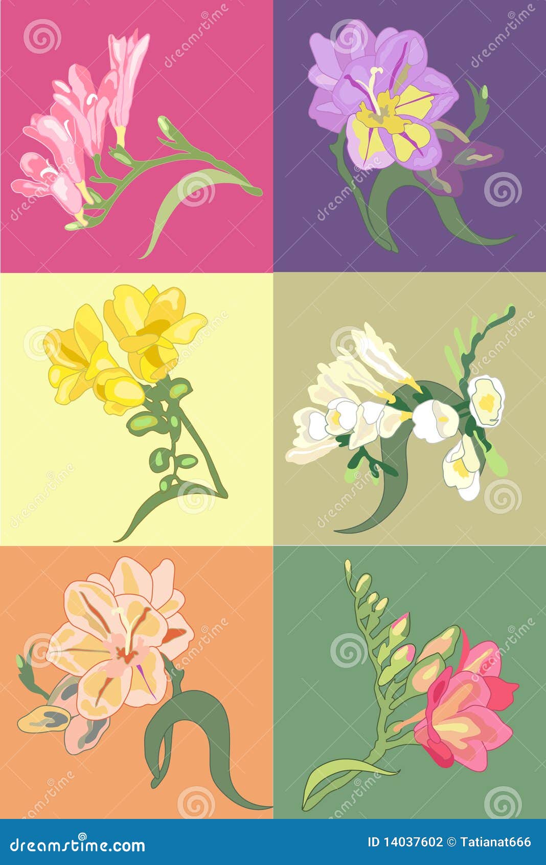 Spring flower set stock vector. Illustration of vintage - 14037602