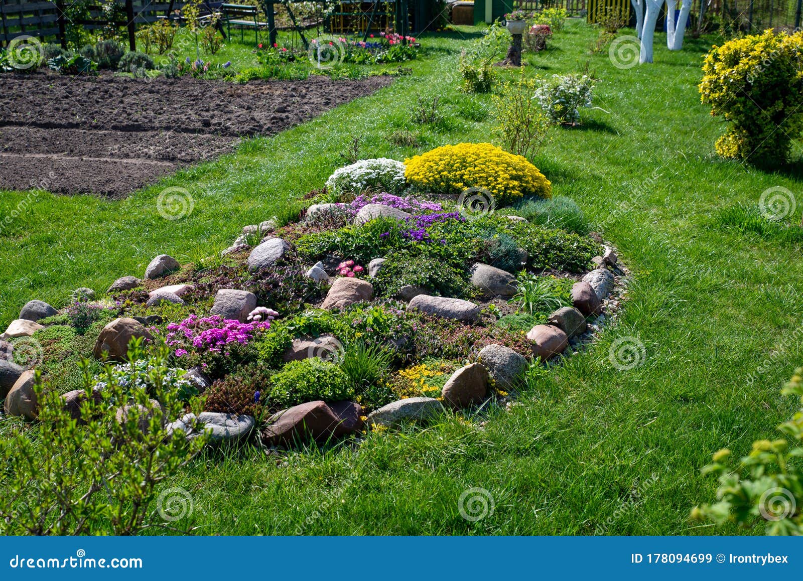 Spring Flower and Stone in the Garden Stock Image - Image of fresh ...