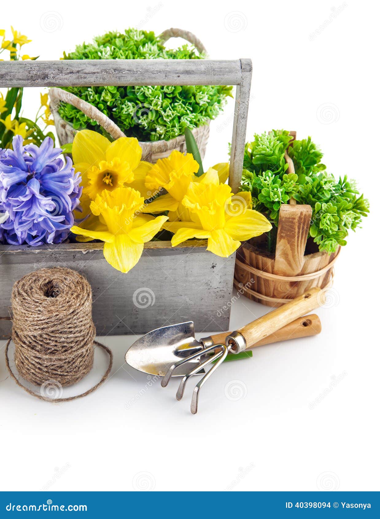 Spring Flower and Tool for Flower-growing Stock Photo - Image of ...