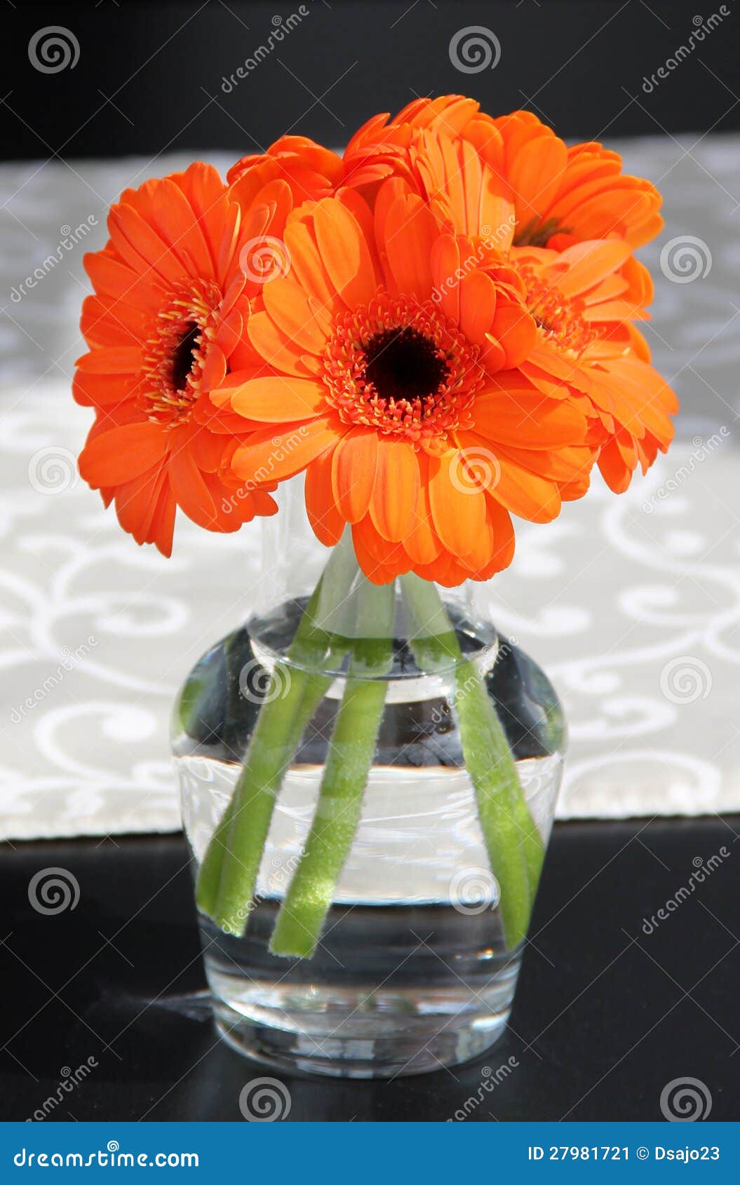 Spring flowers stock image. Image of orange, flowers - 27981721