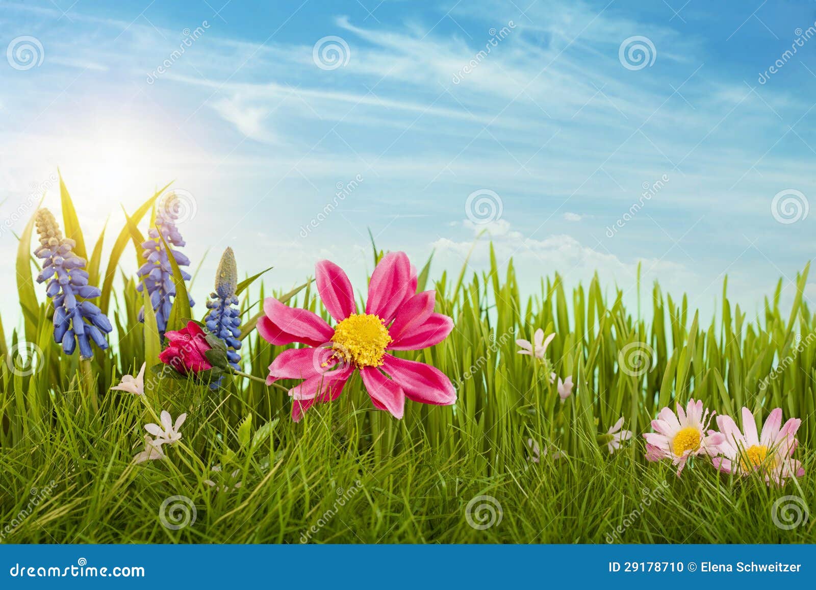 Spring Flowers Bouquet. Yellow Background Royalty-Free Stock Photo ...