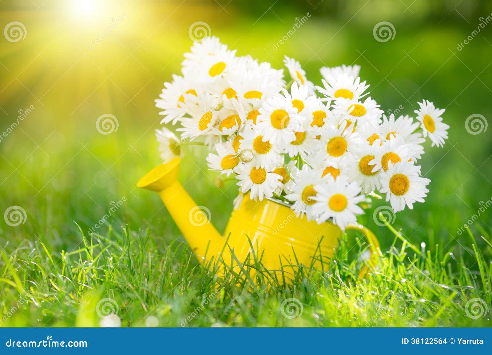 Spring flowers stock photo. Image of holiday, plant, farm - 38122564