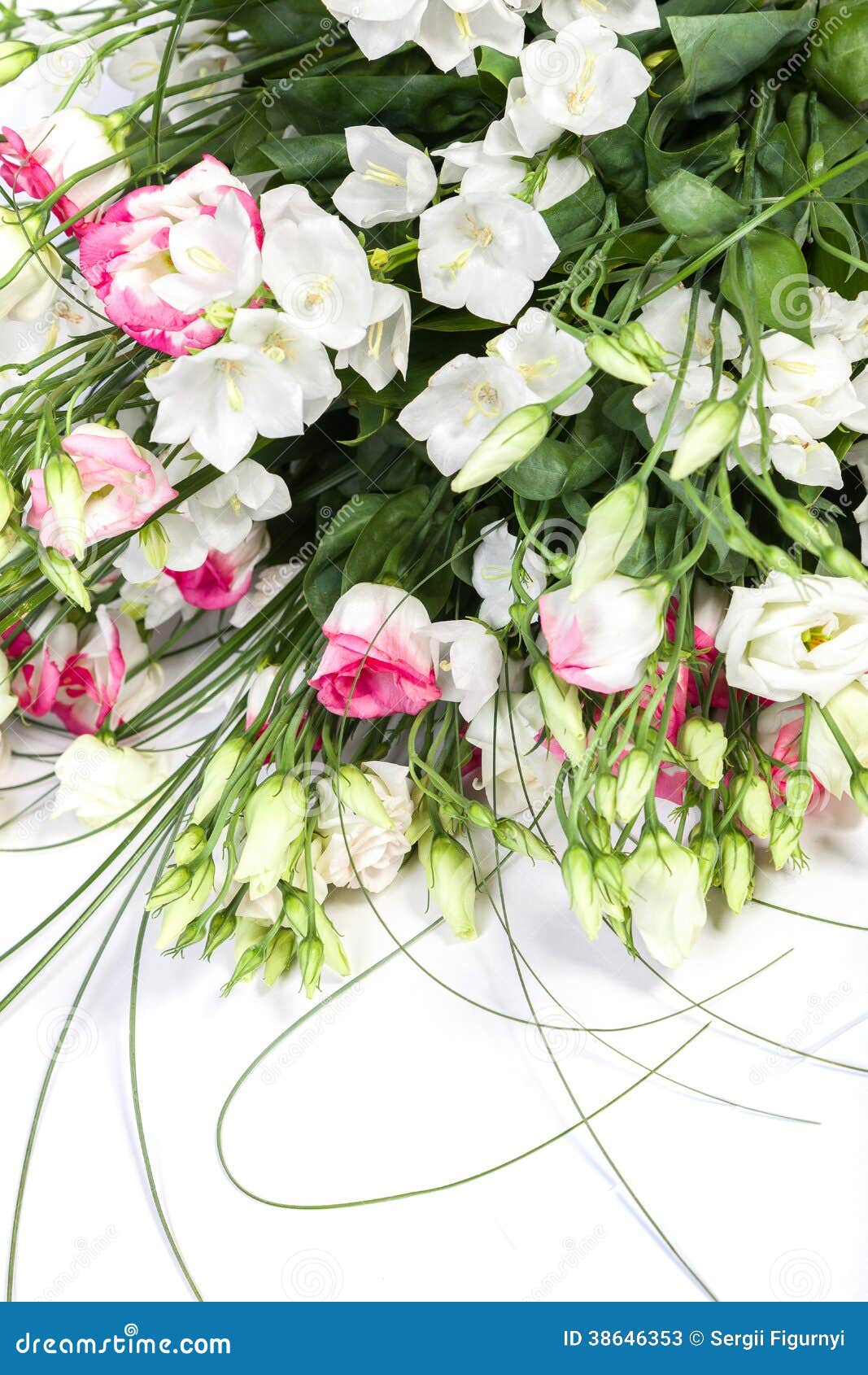 Spring Flowers Background on White Background Stock Image - Image of ...