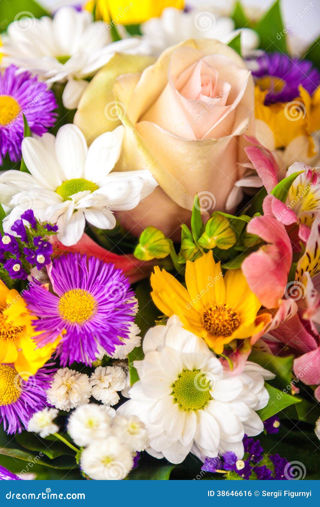 Spring Flowers Background on White Background Stock Photo - Image of ...