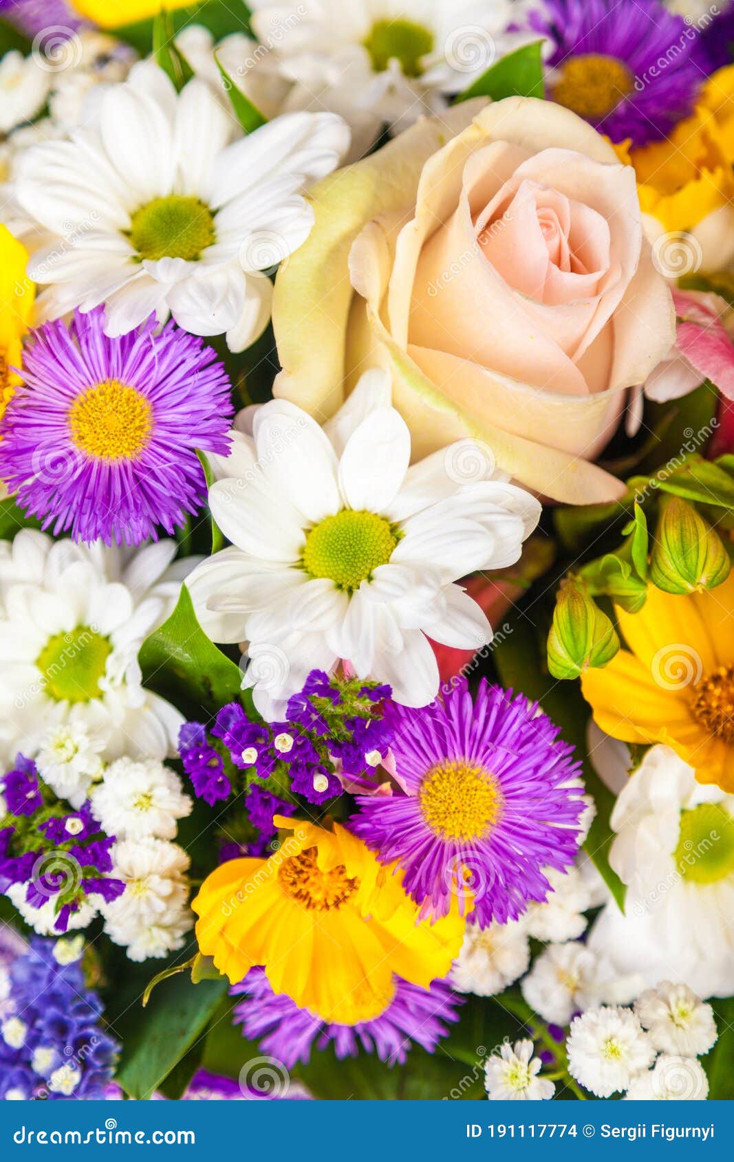 Spring Flowers Background on White Background Stock Photo - Image of ...