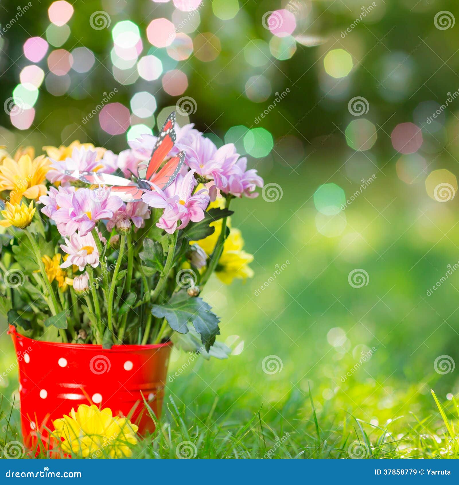 Spring flowers stock image. Image of gardening, conservation - 37858779