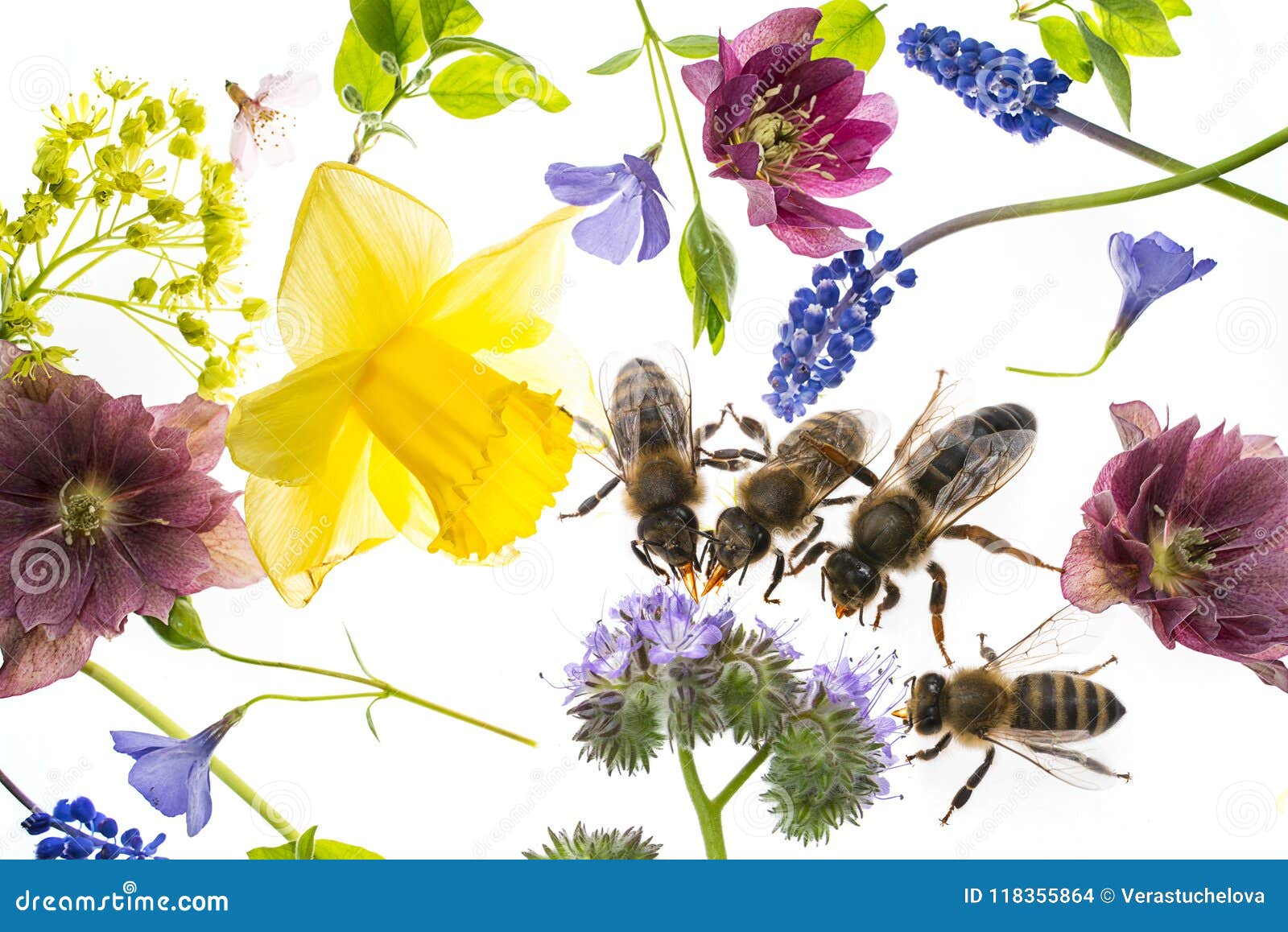 Spring flowers and bees stock photo. Image of pink, honeybees - 118355864