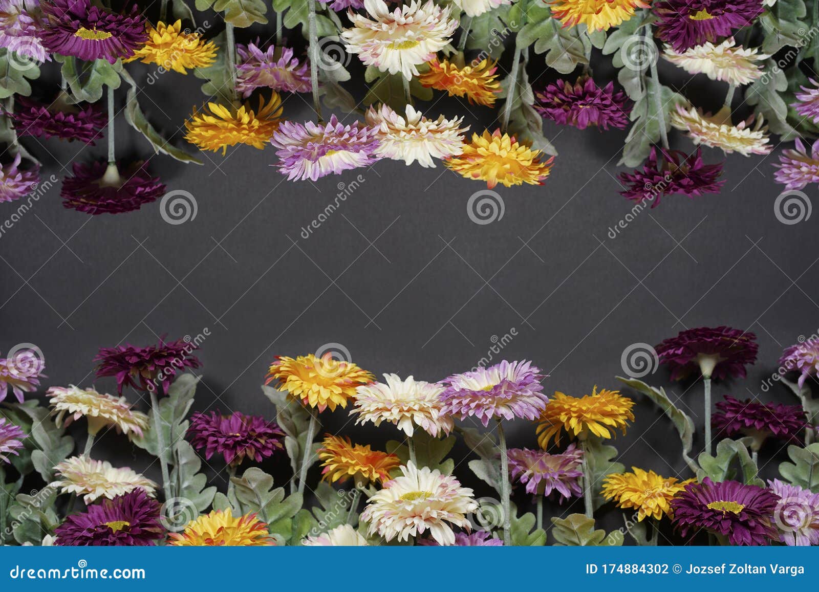 Spring Flowers on a Black Background. Empty Space for Design Stock ...