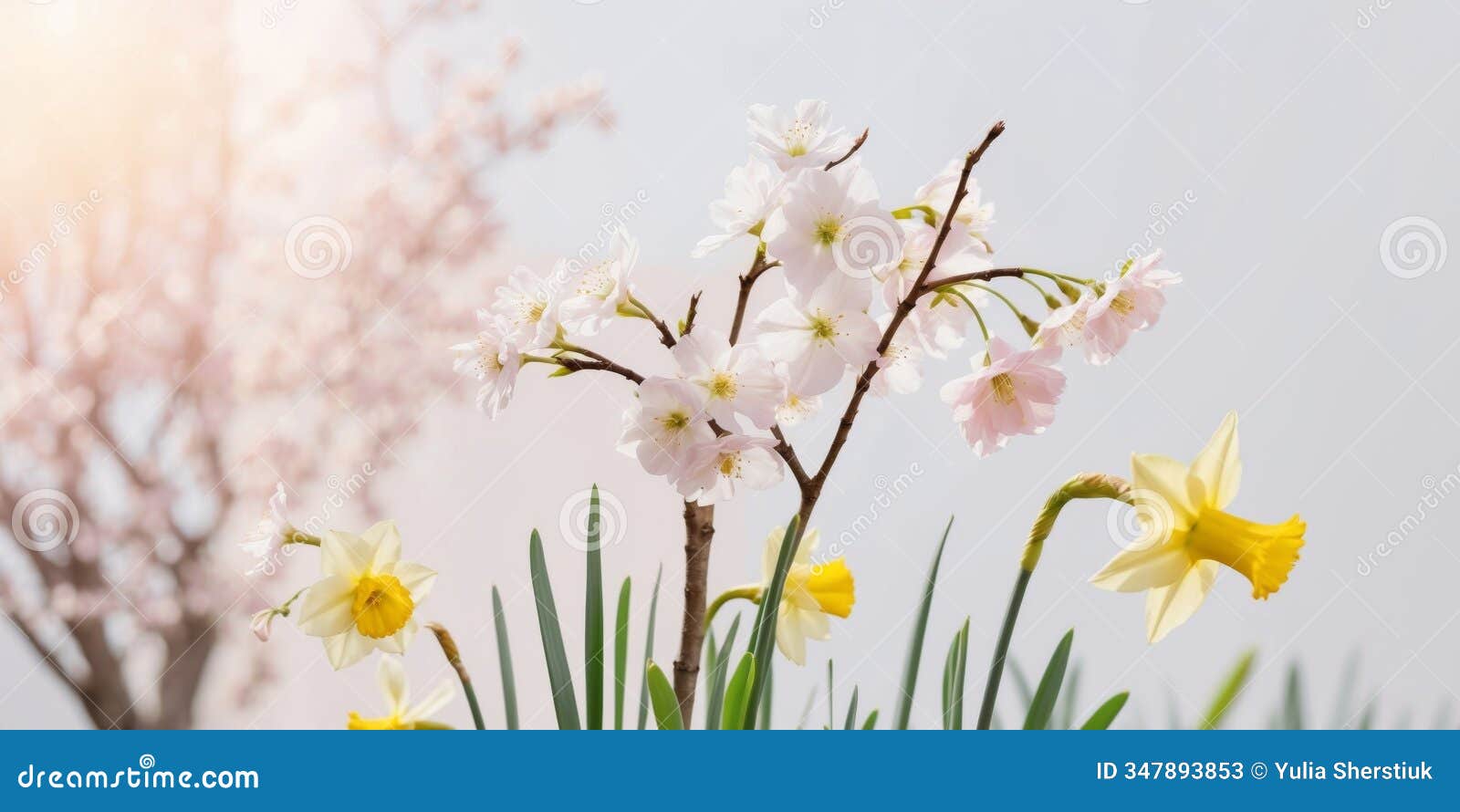 Spring Flowers Blowing in the Breeze with Soft Pastel Overlay and Open ...