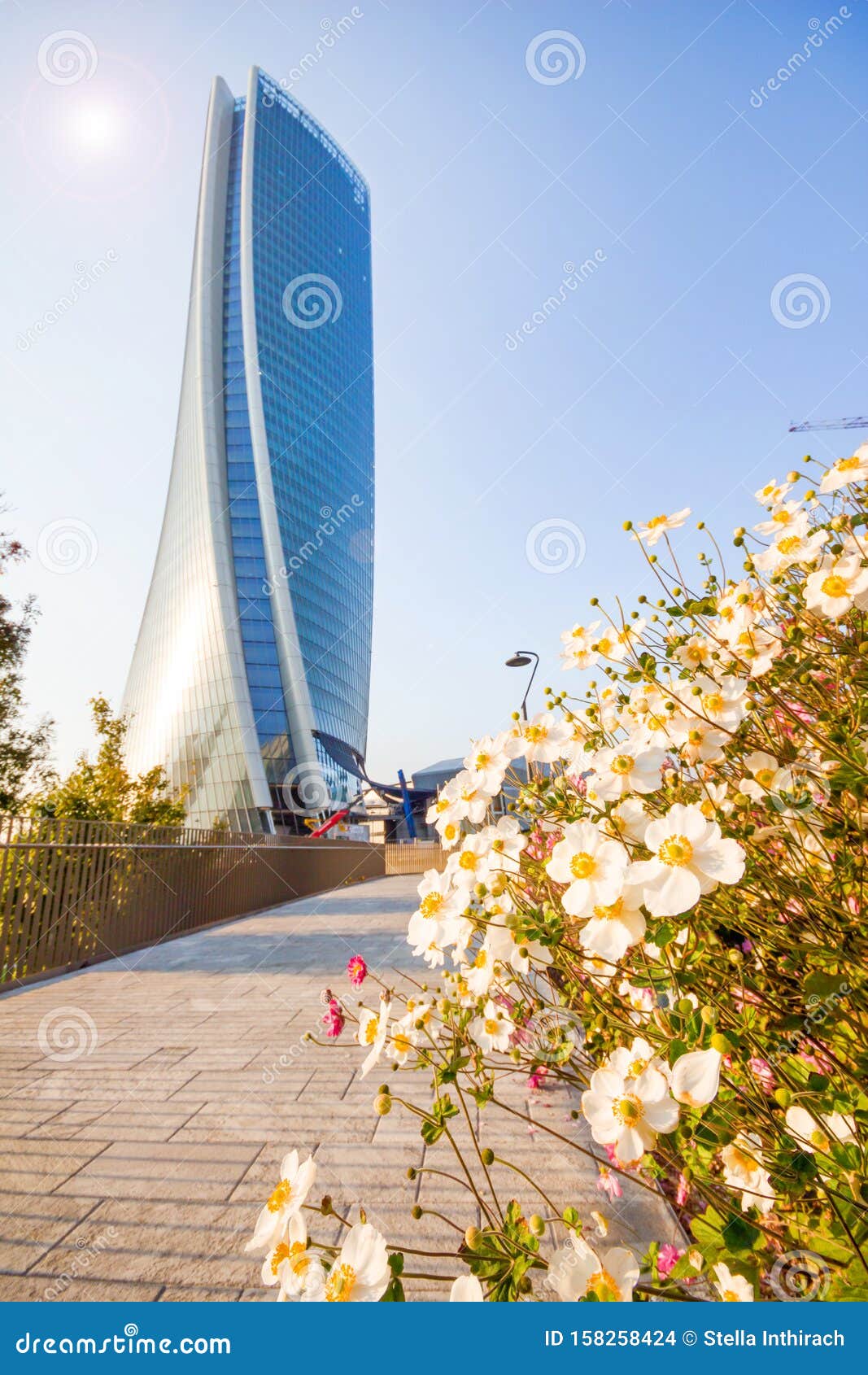 Spring Flowers with Blurred Modern Buildings, Office Building ...