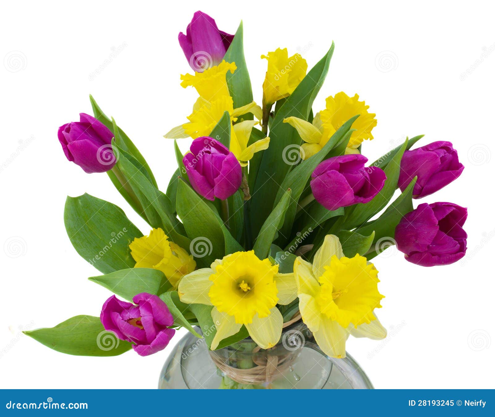 Spring flowers bouquet stock image. Image of narcissus - 28193245