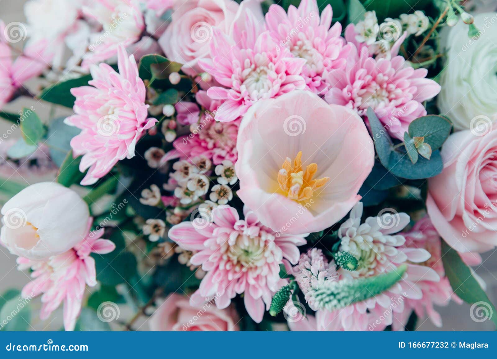 Spring Flowers Pink Bouquet Background Stock Photo - Image of gift ...