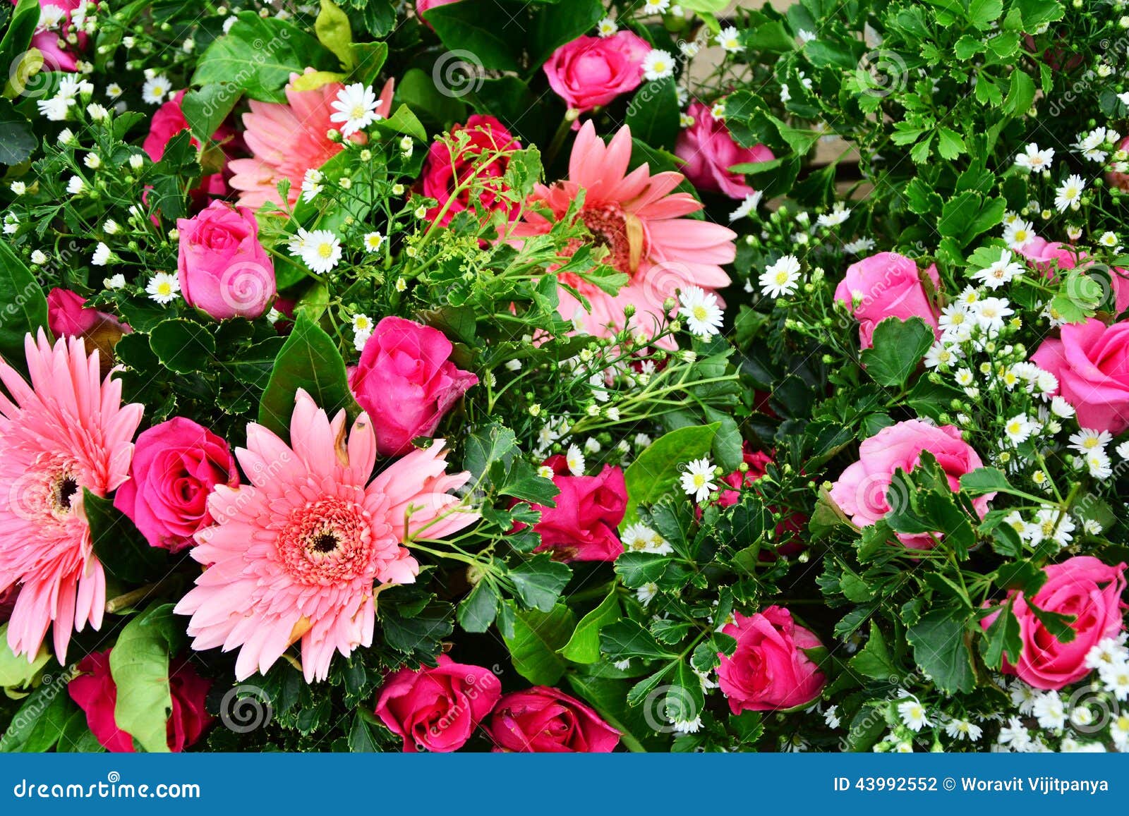 Spring Flowers Bouquet stock photo. Image of yellow, daisy - 43992552