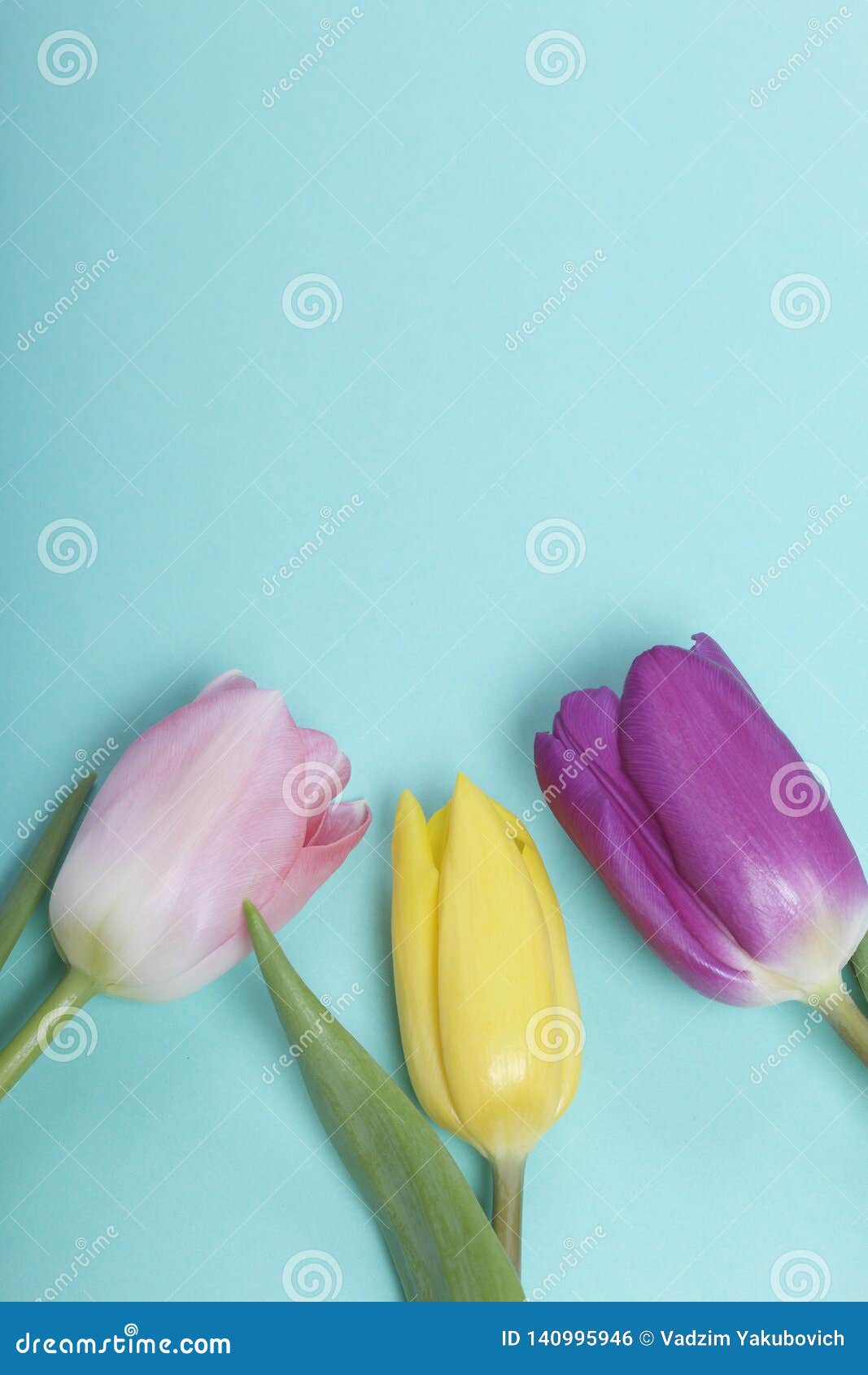 Spring Flowers. Bouquet of Tulips of Different Colors on a Mint ...