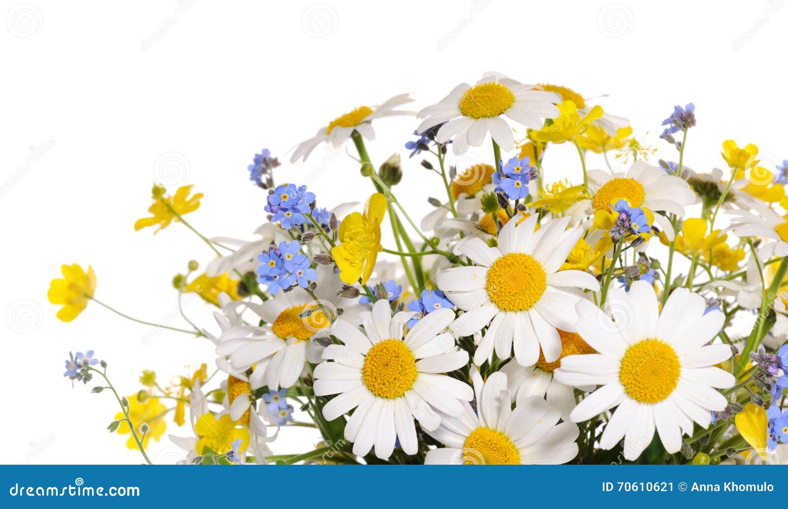 Spring flowers bouquet stock image. Image of white, beautiful - 70610621